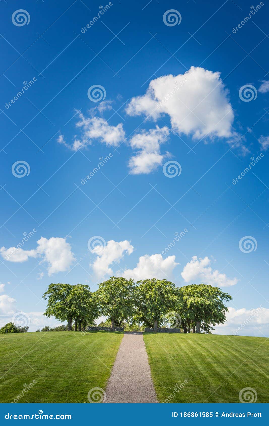 Group of Trees on a Hill with Gravel Path Stock Image - Image of rural ...