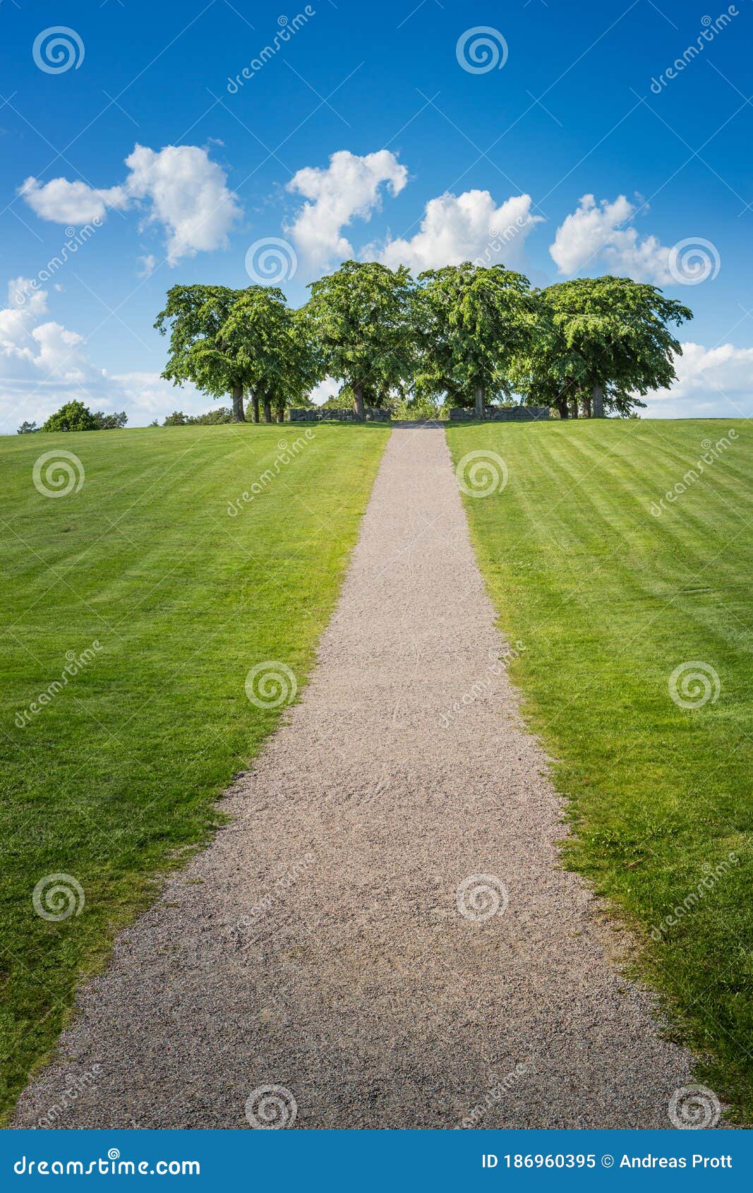Group of Trees on a Hill with Gravel Path Stock Image - Image of ...
