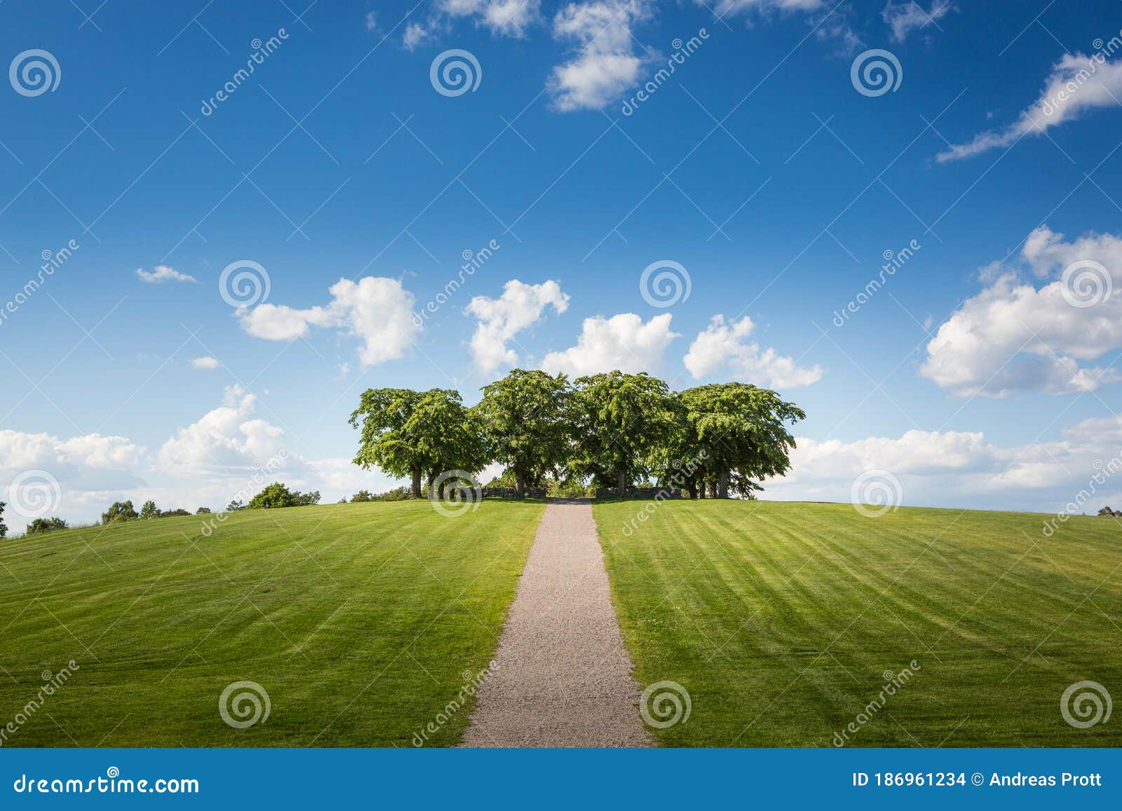 Group of Trees on a Hill with Gravel Path Stock Photo - Image of rural ...