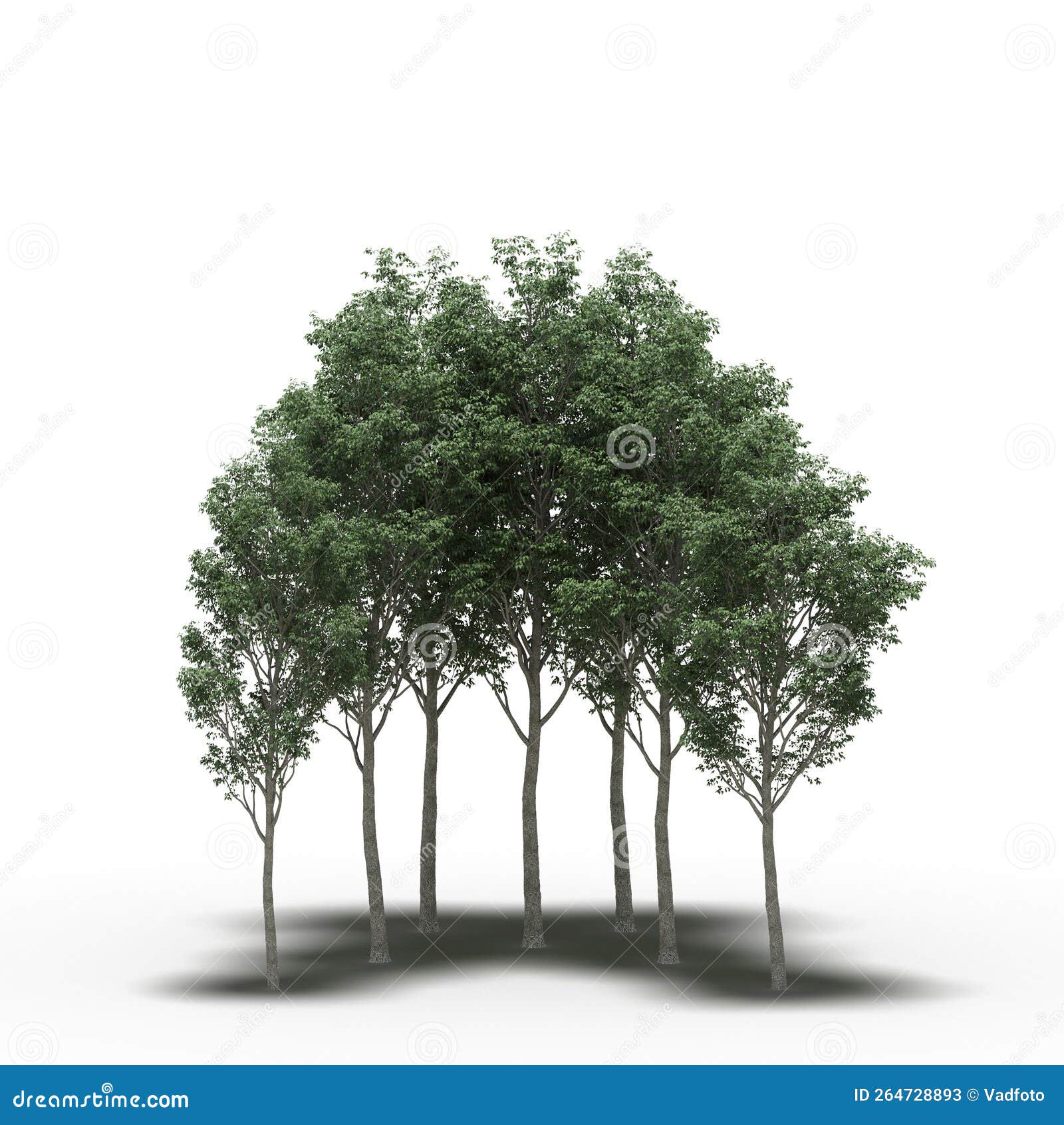 Group of Trees with a Shadow Under it Stock Illustration - Illustration ...