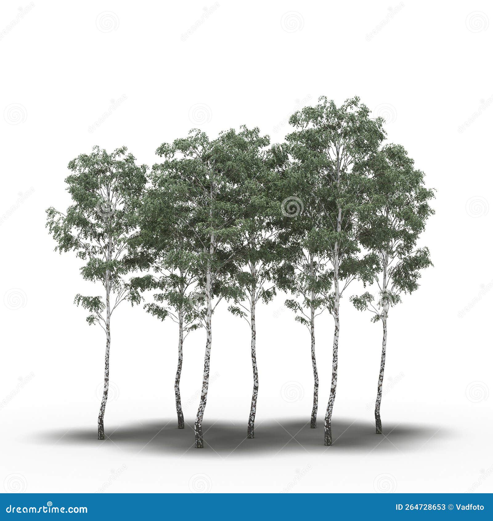 Group of Trees with a Shadow Under it Stock Illustration - Illustration ...