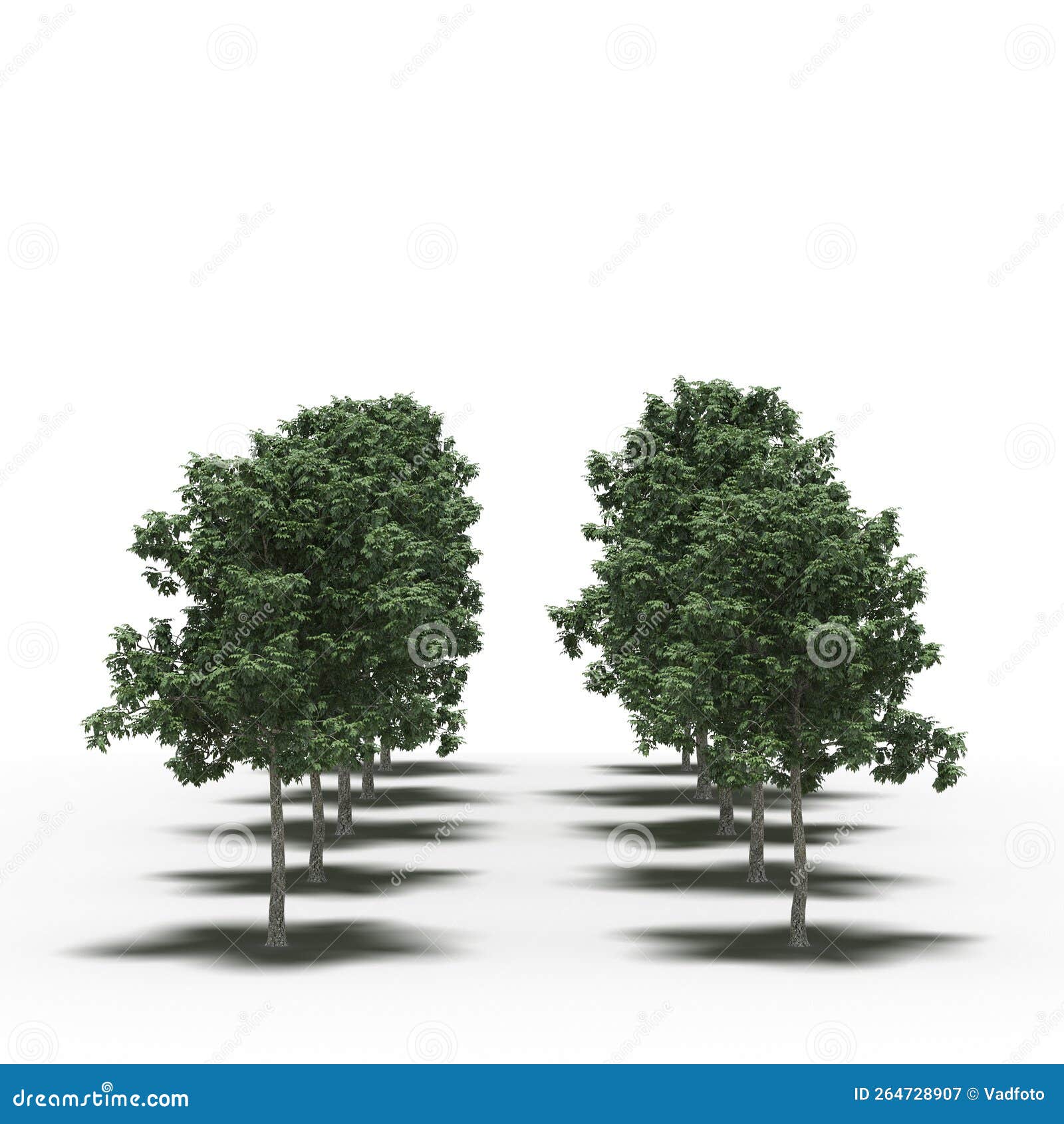 Group of Trees with a Shadow Under it Stock Illustration - Illustration ...