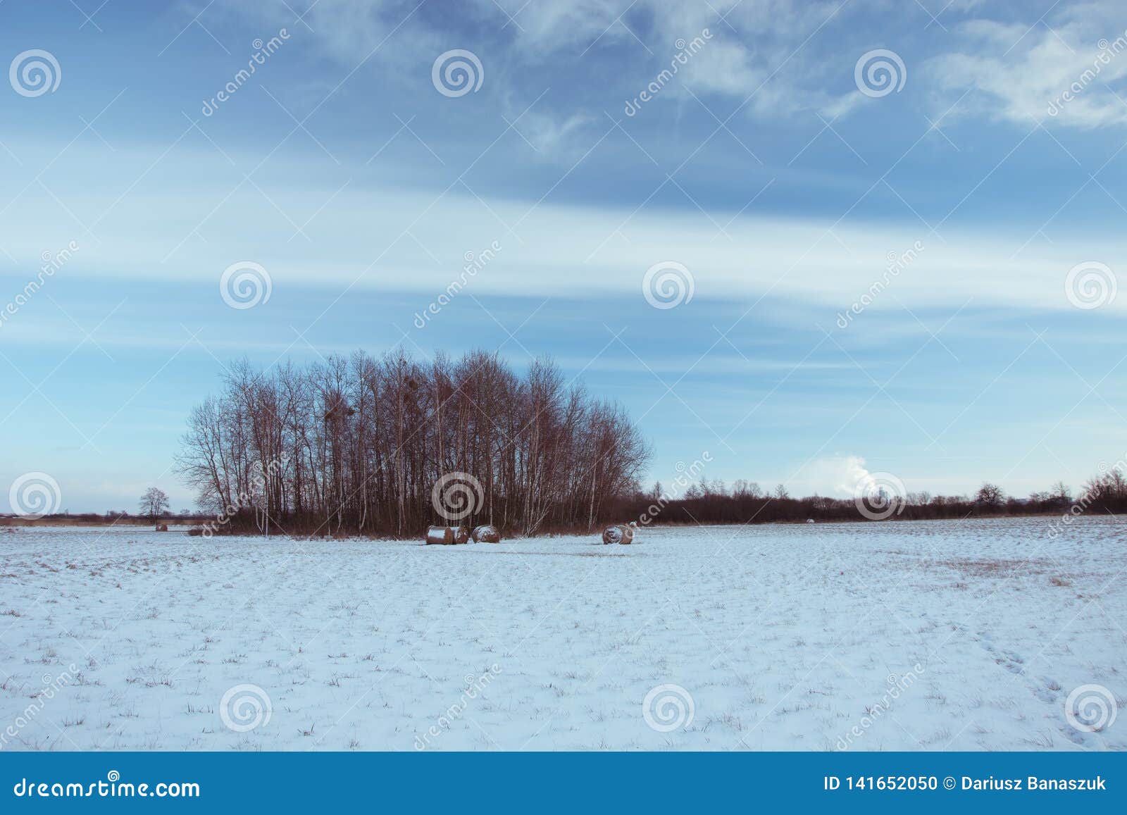 Group of Trees and Snow-covered Field, Cloud and Blue Sky Stock Photo ...