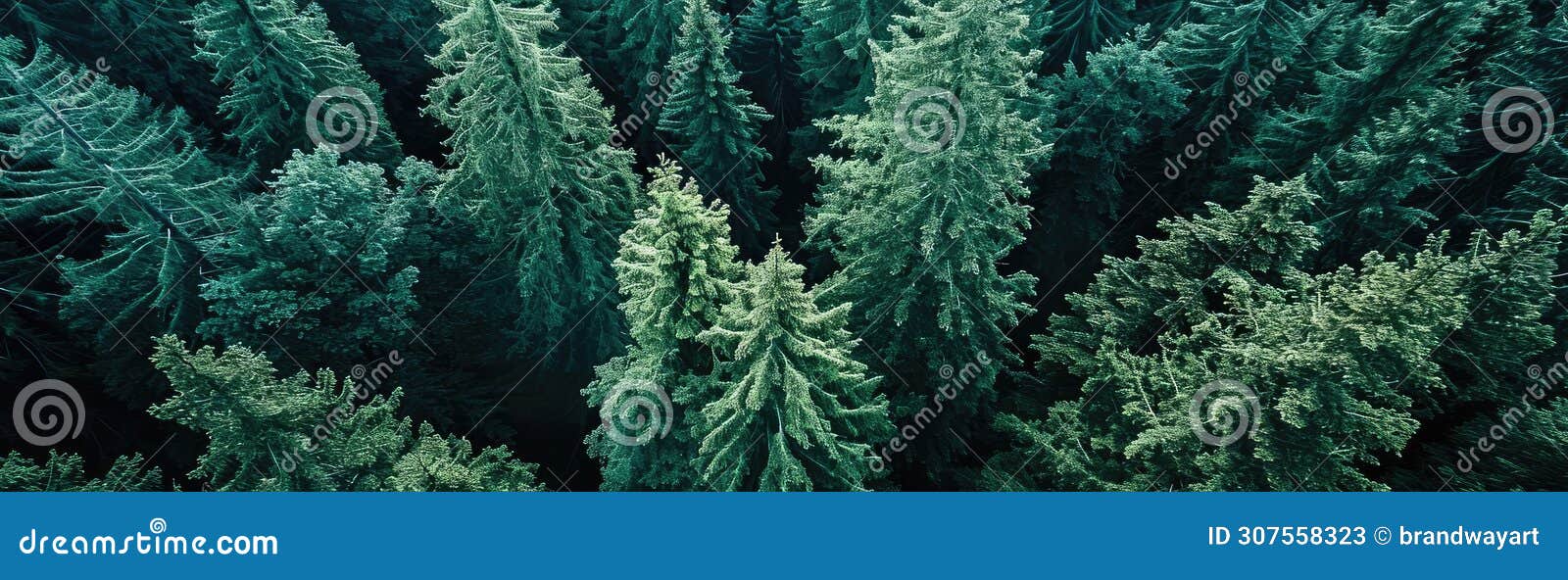 Cluster of Adjacent Trees stock illustration. Illustration of foliage ...