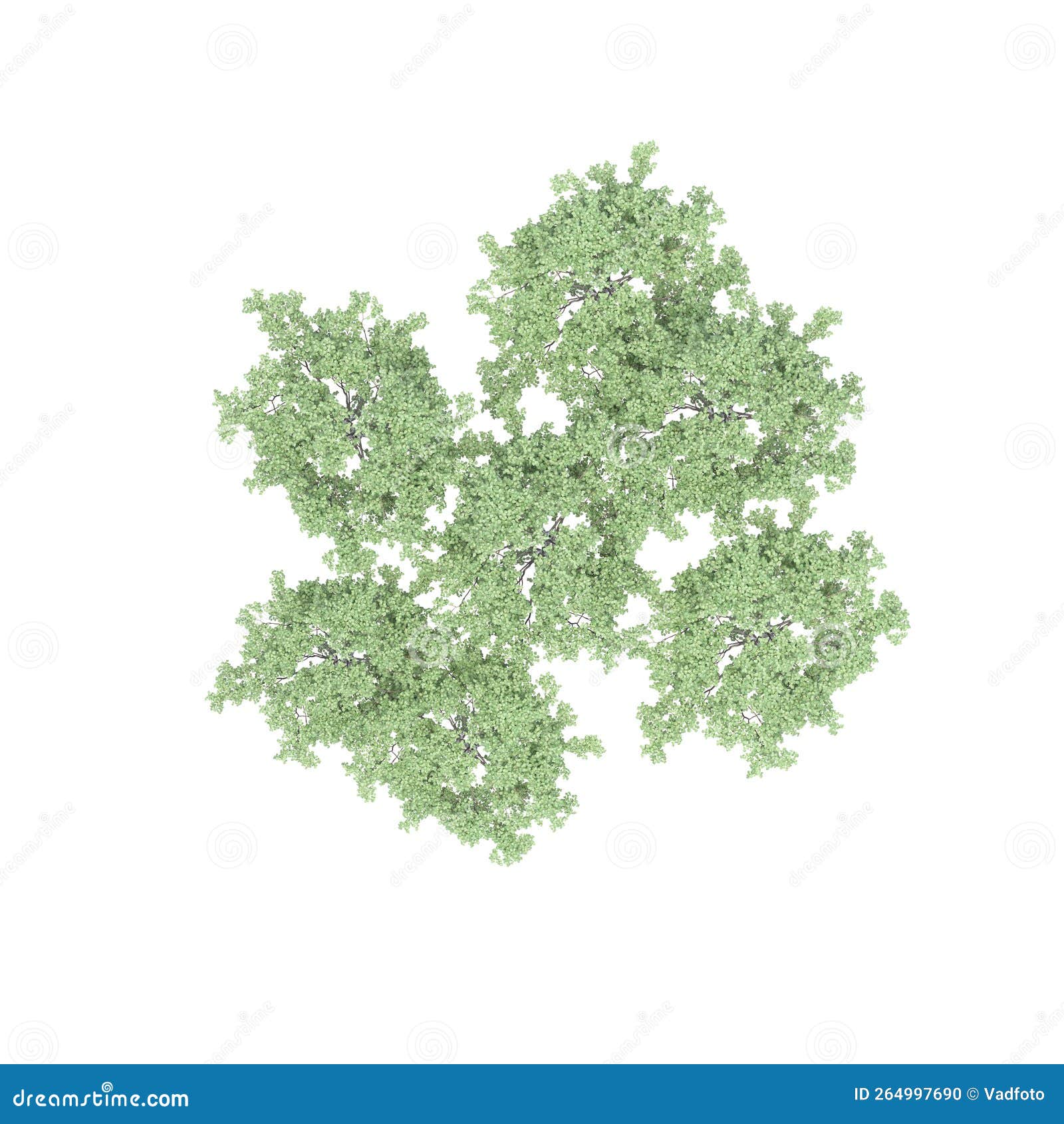 Group of Trees, Top View, Isolated on White Background Stock ...