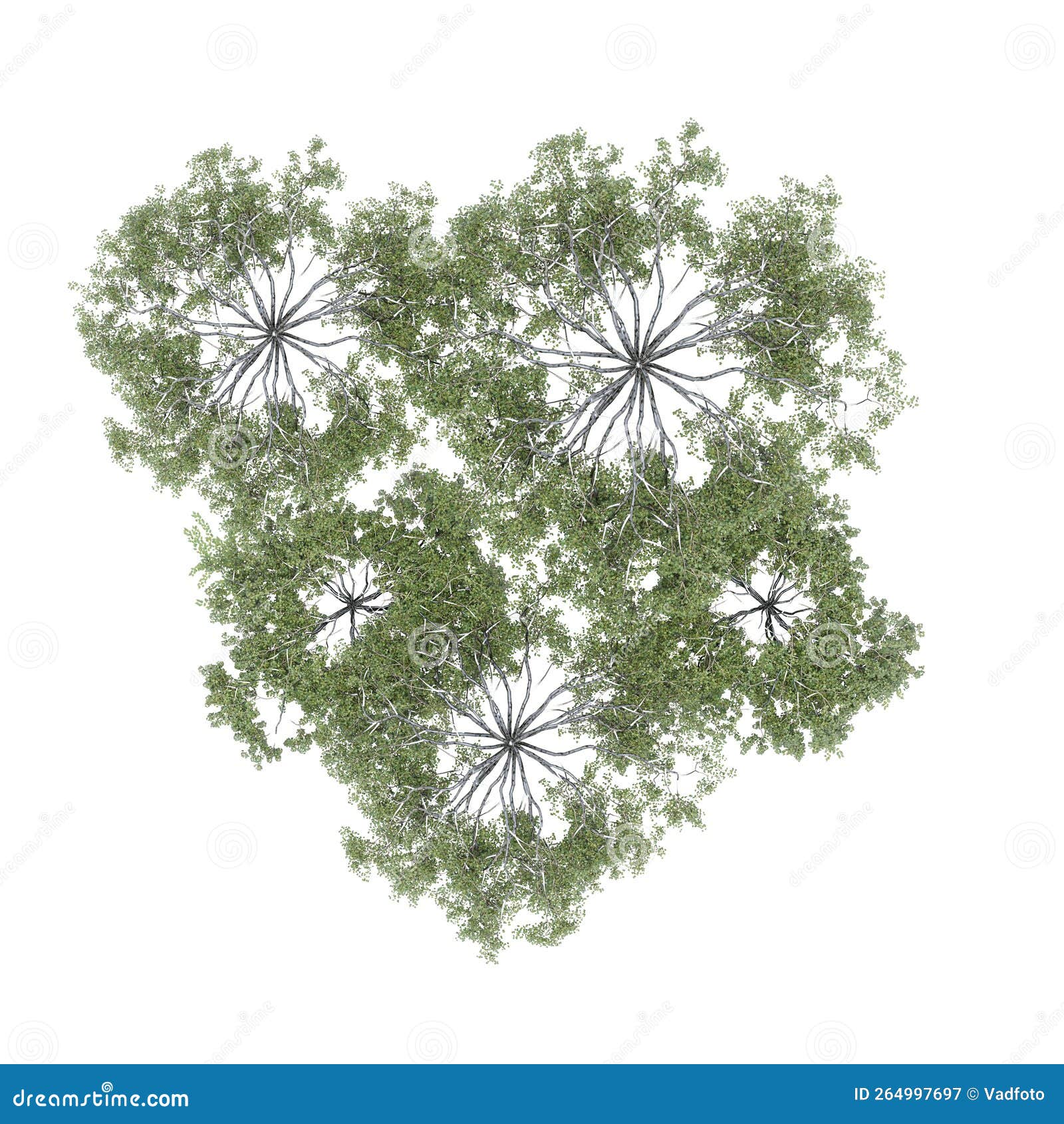 Group of Trees, Top View, Isolated on White Background Stock ...