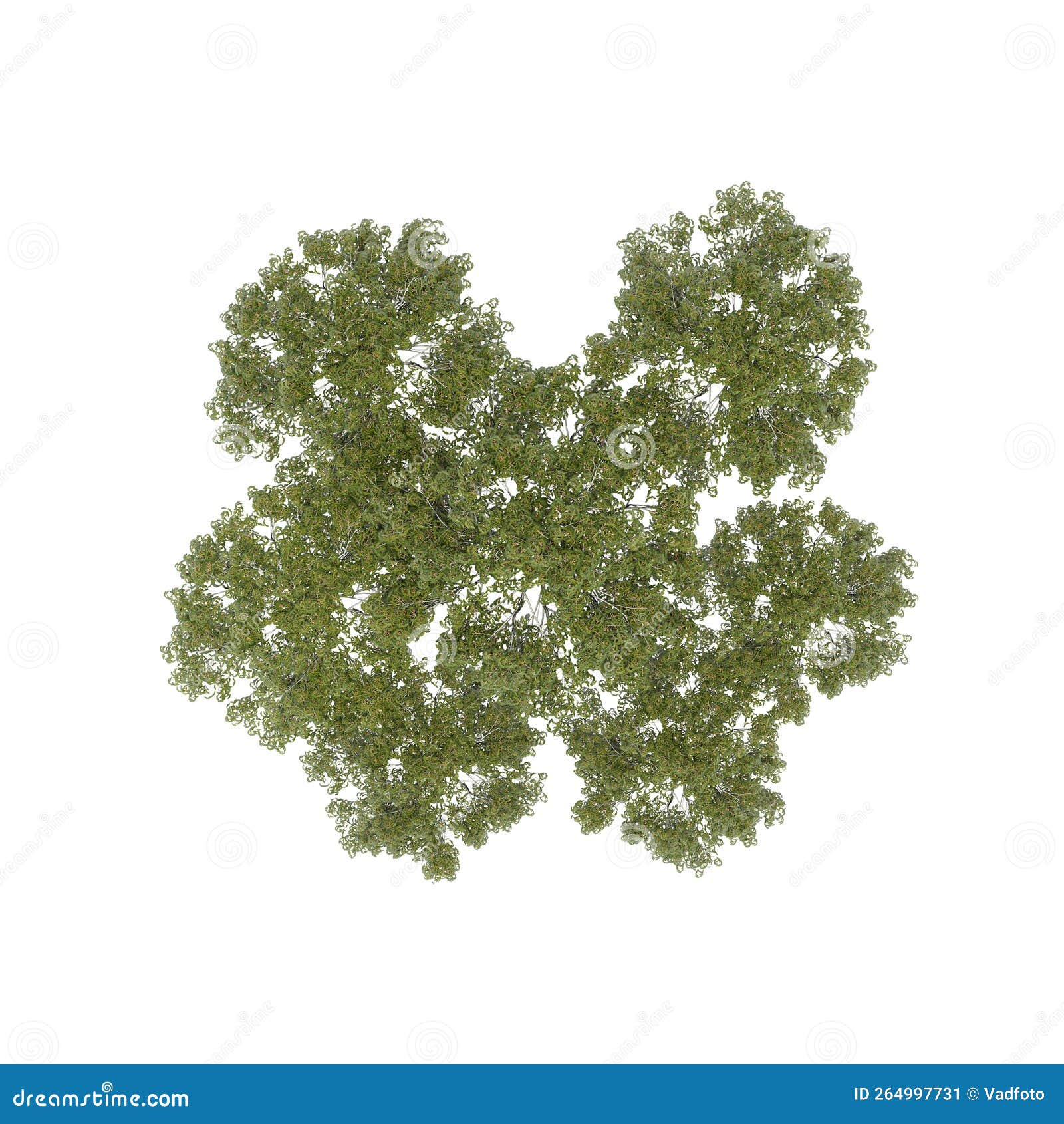 Group of Trees, Top View, Isolated on White Background Stock ...
