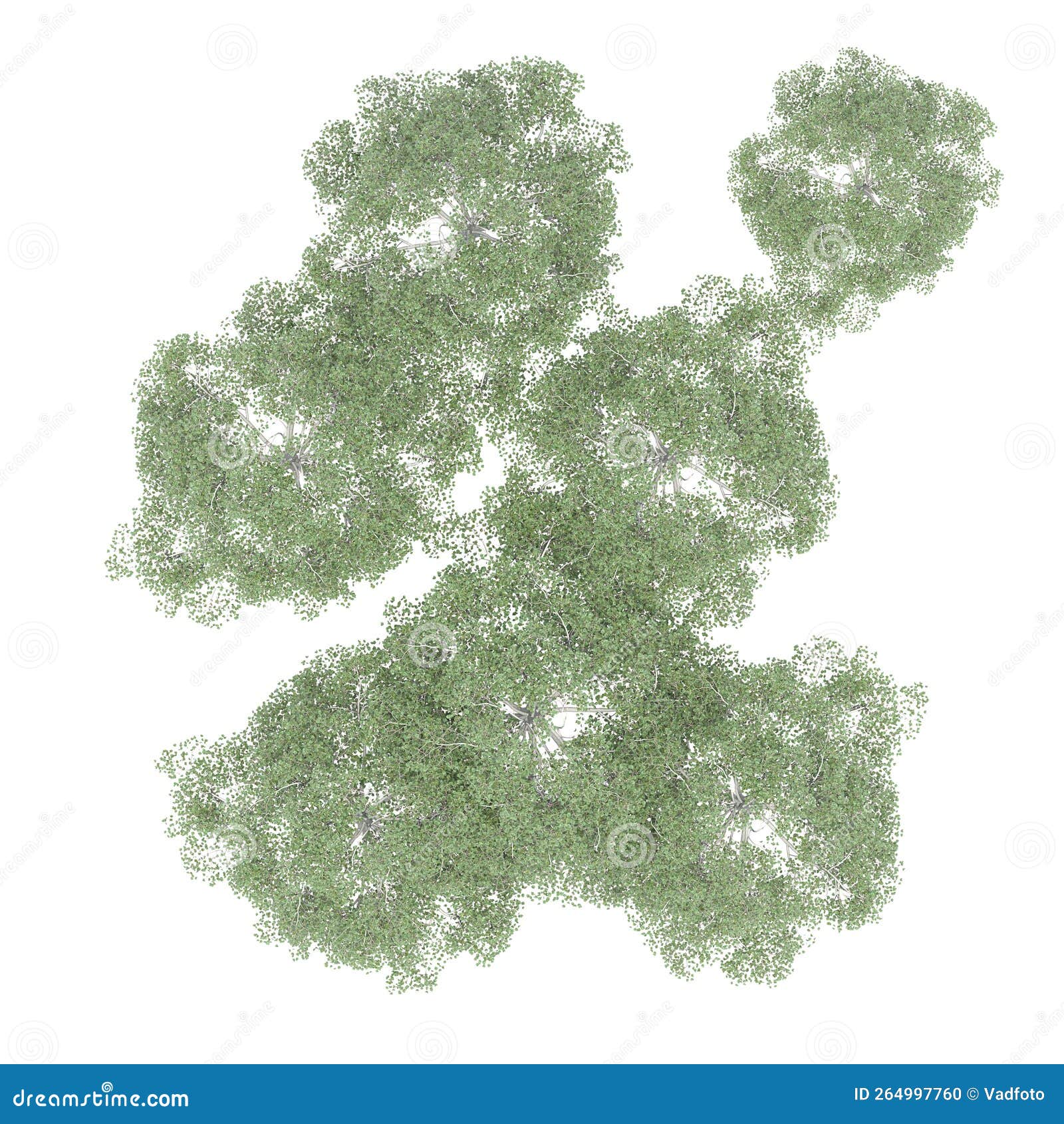 Group of Trees, Top View, Isolated on White Background Stock ... Group of Trees, Top View, Isolated on White Background Stock ...