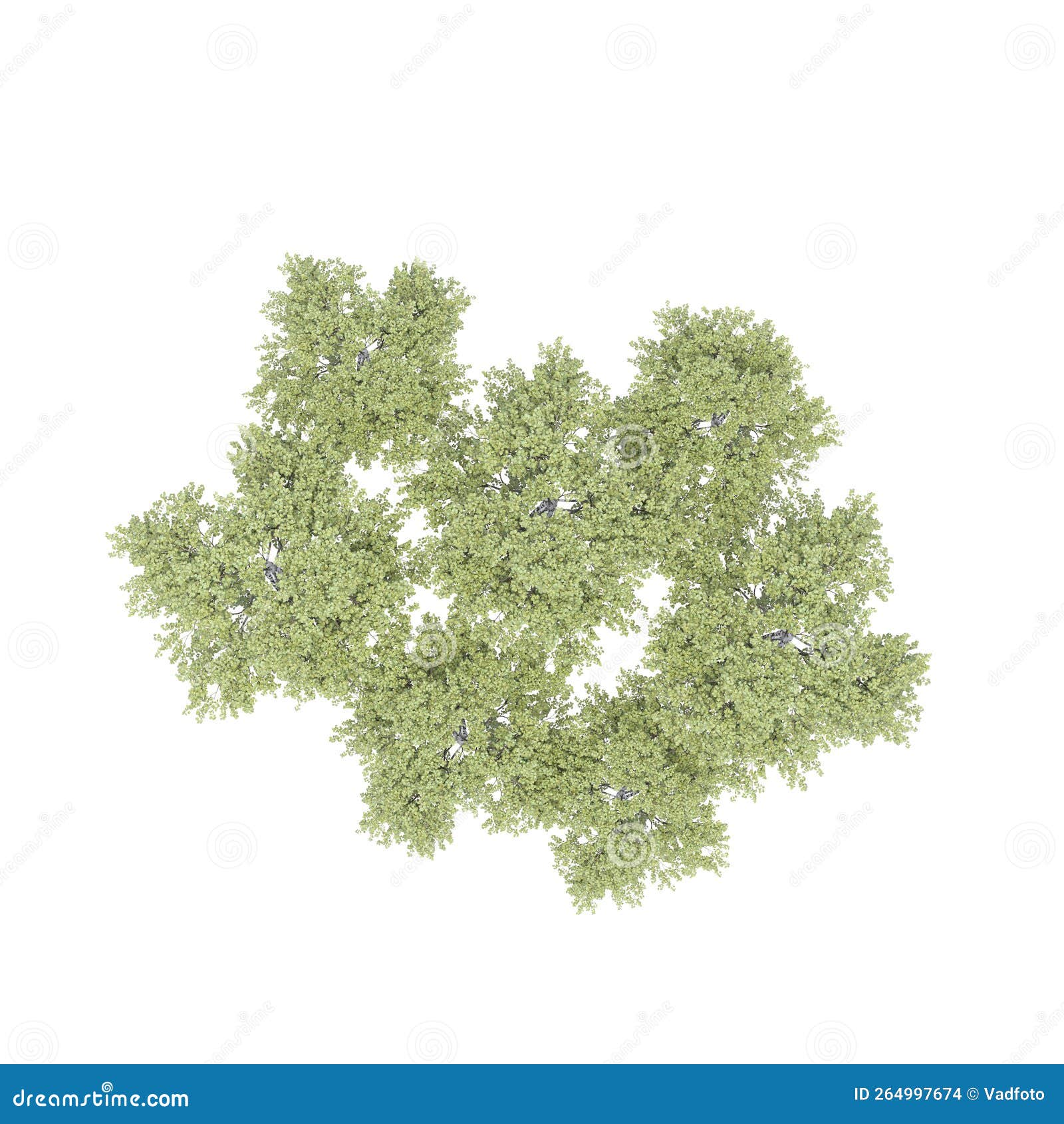 Group of Trees, Top View, Isolated on White Background Stock ...