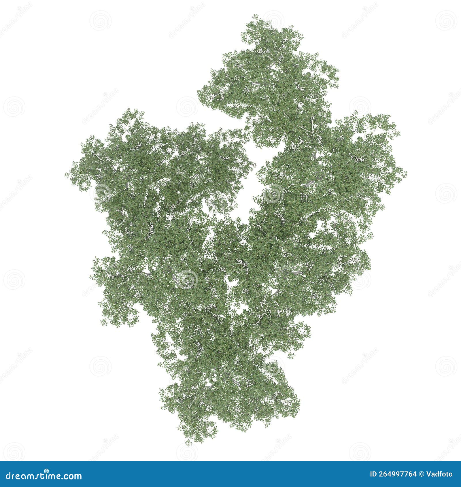 Group of Trees, Top View, Isolated on White Background Stock ...