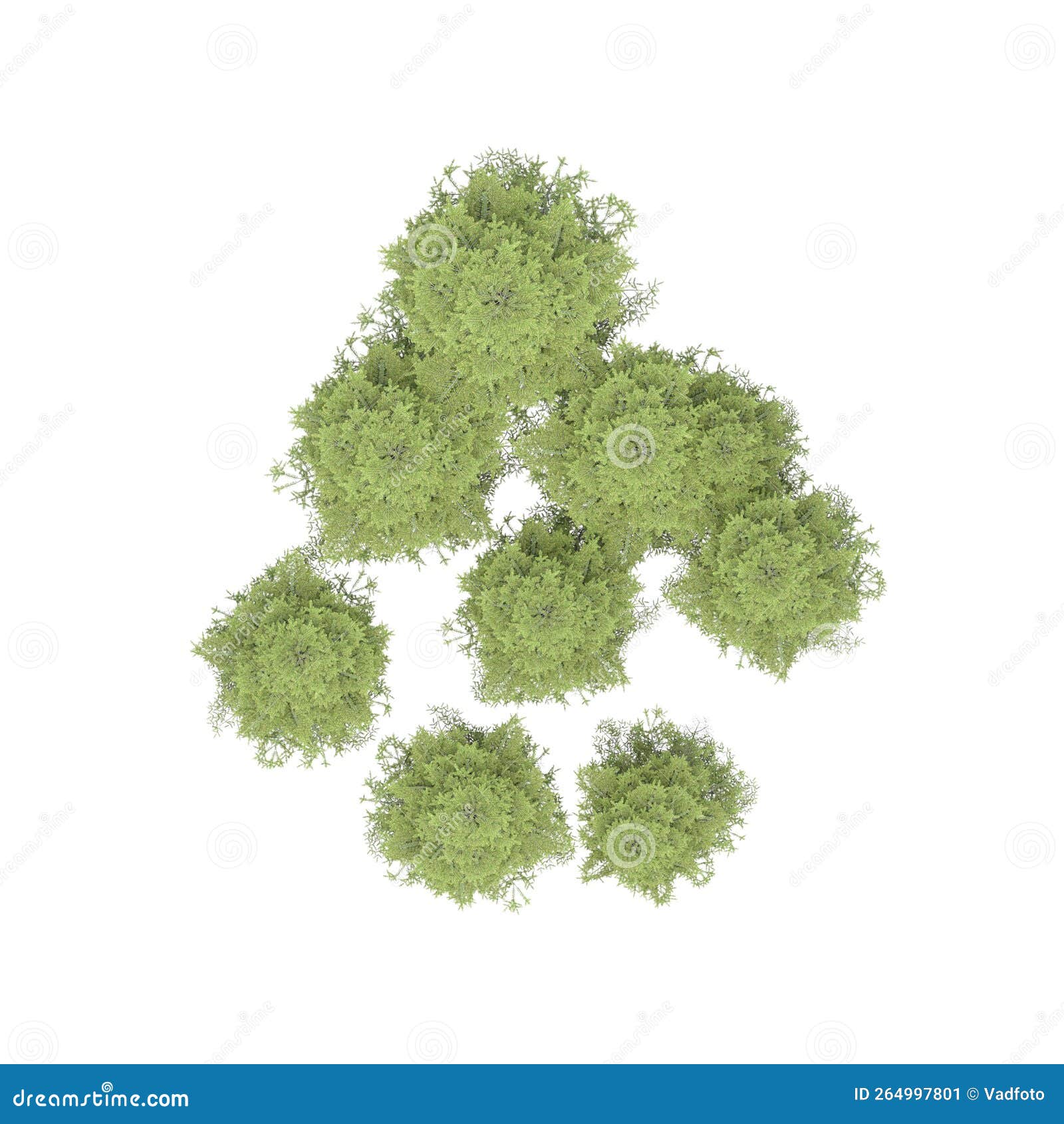 Group of Trees, Top View, Isolated on White Background Stock ...