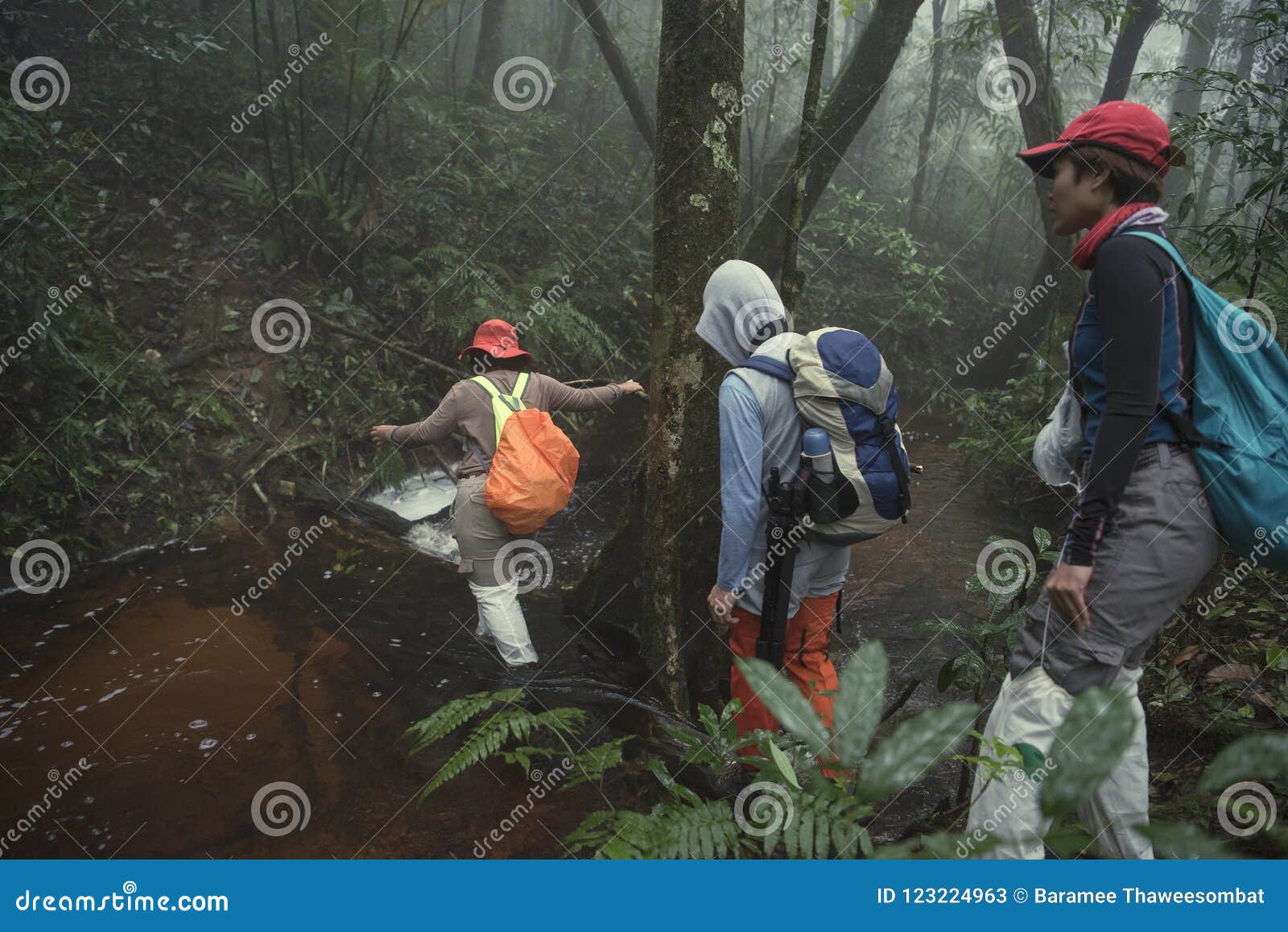 Group of Trekking in Rainforest Jungle. Adventure and Explorer Stock ...
