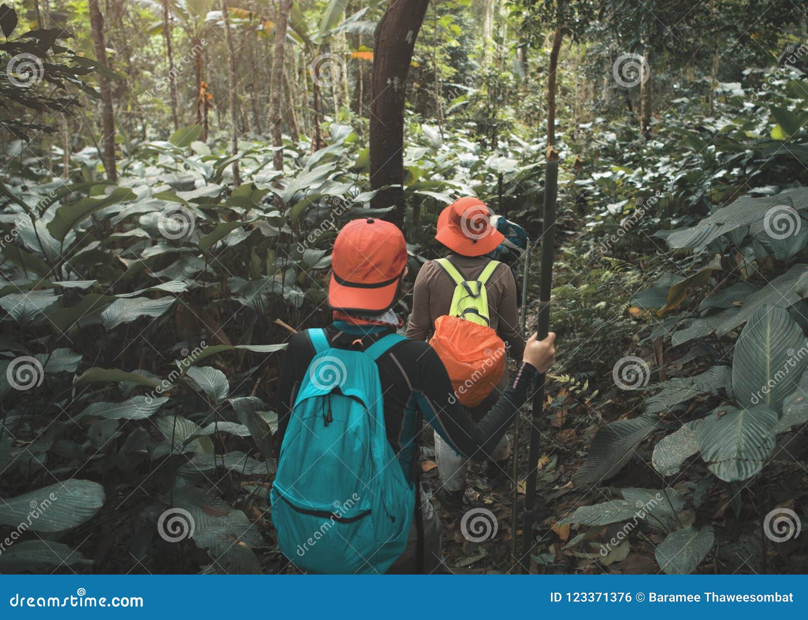 Group of Trekking in Rainforest Jungle. Adventure and Explorer Stock ...