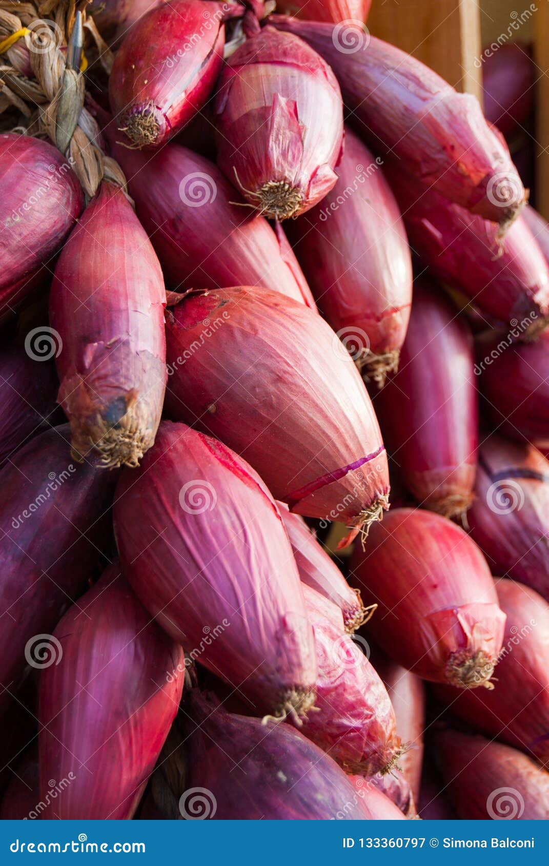Group of Tropea Long Onions Stock Image - Image of peel, onions: 133360797