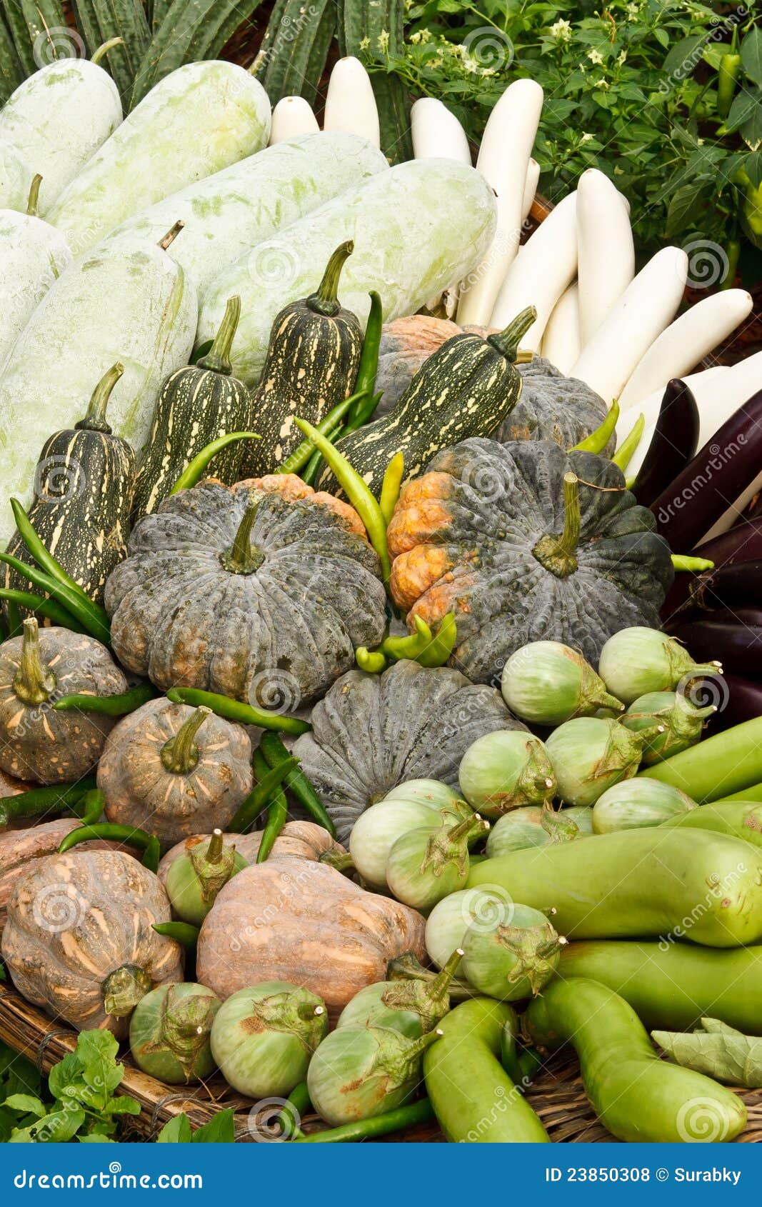 Group of Tropical Vegetables Stock Photo - Image of farm, health: 23850308