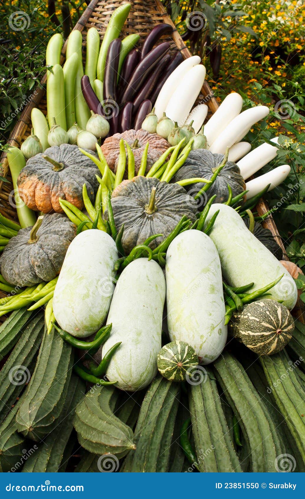 Group of Tropical Vegetables Stock Photo - Image of gourd, delicious ...