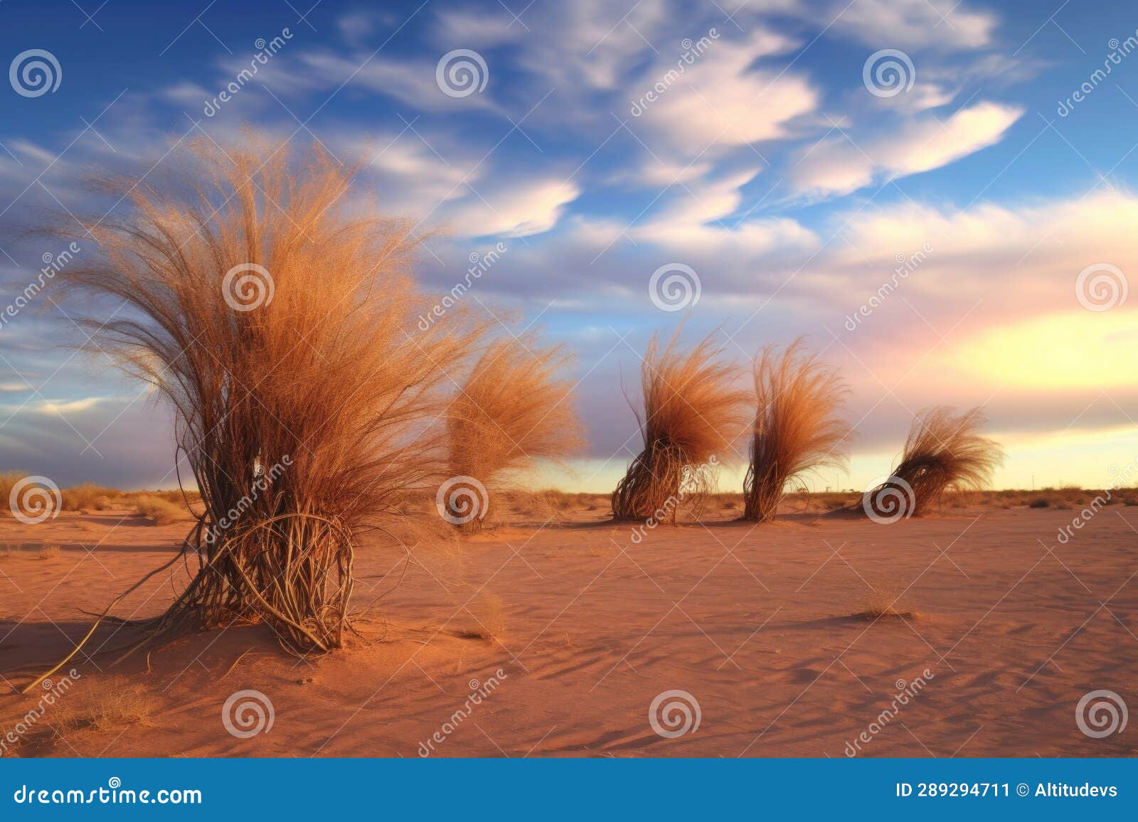 Group of Tumbleweeds Against Vibrant Desert Sky Stock Illustration ...