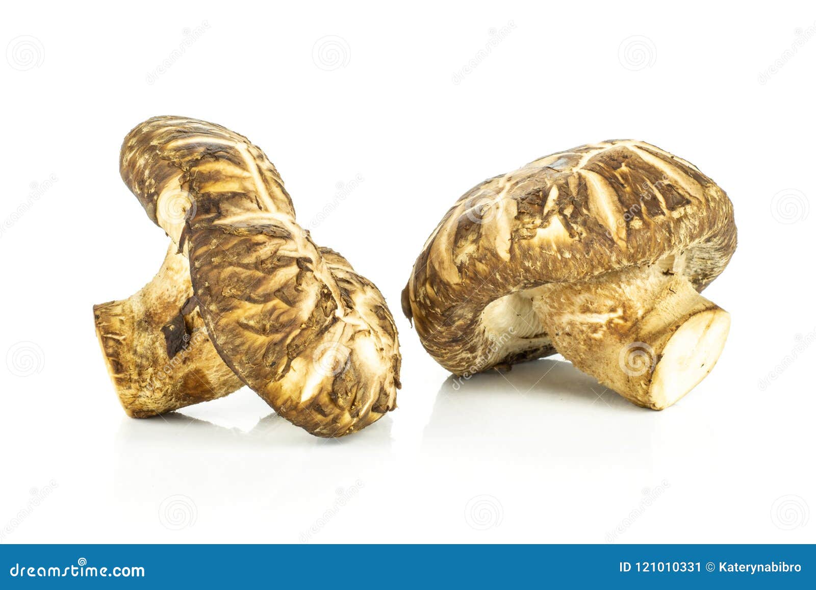 Fresh Raw Shiitake Mushroom Isolated on White Stock Image - Image of ...