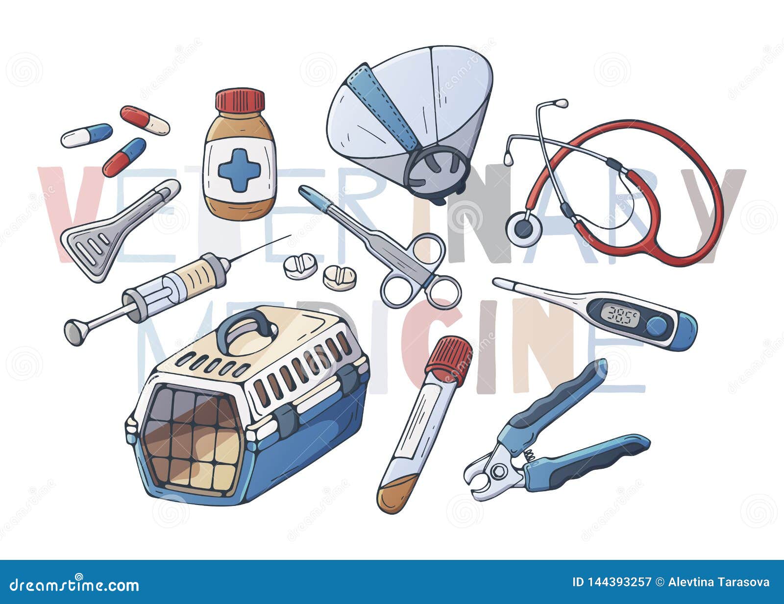 Veterinary Accessories for Cats and Dogs. Vector Stock Vector ...