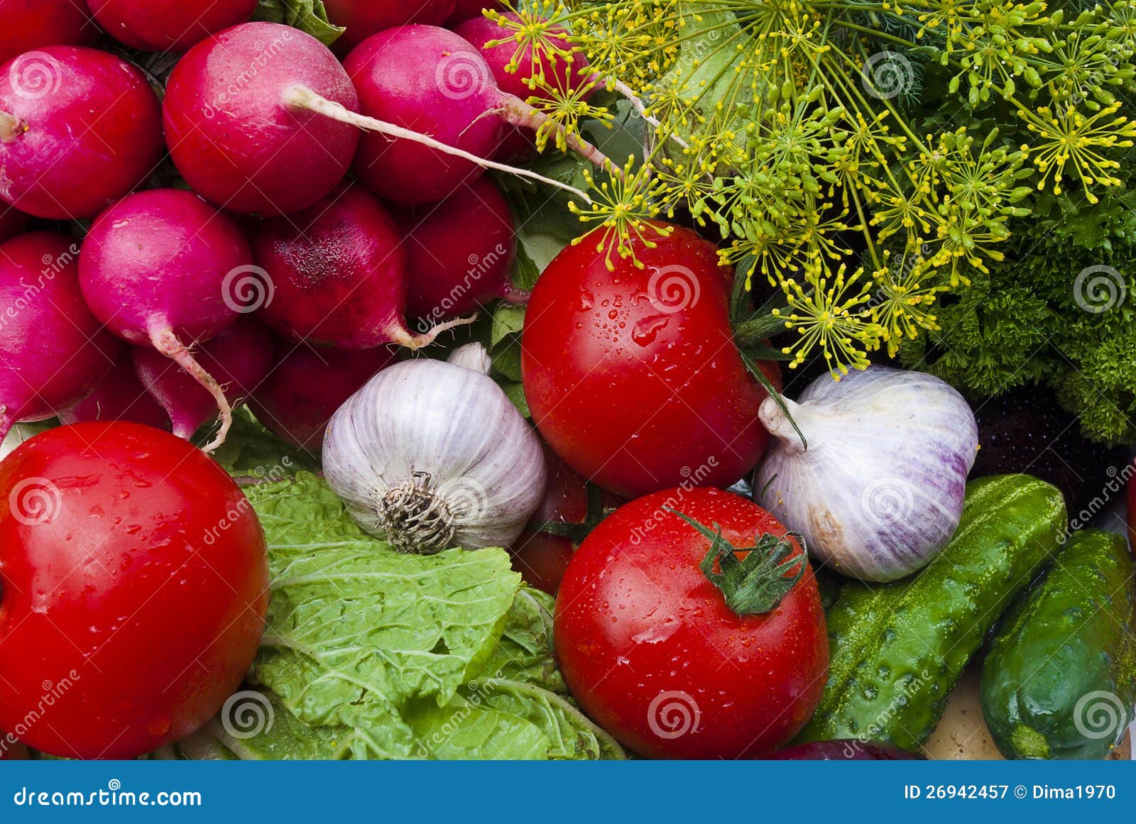 Group of vegetables stock image. Image of colored, food - 26942457