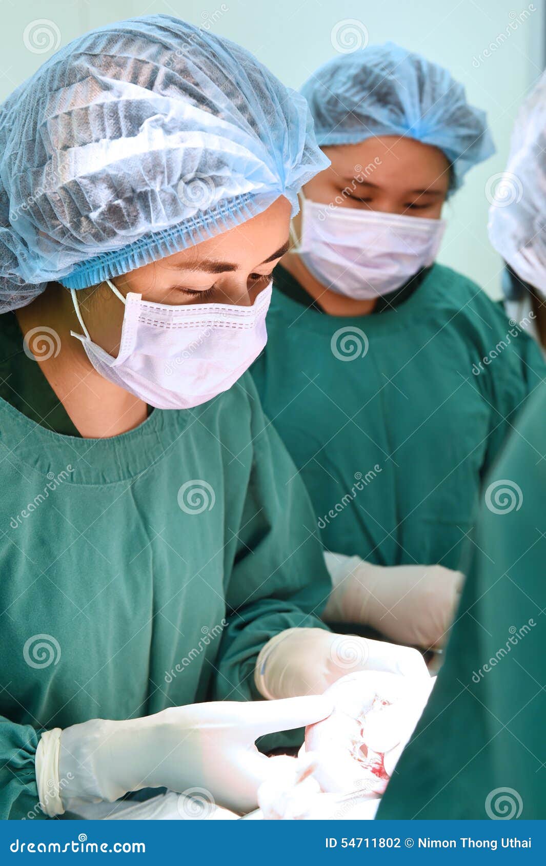 Group of Veterinarian Surgery in Operation Room Stock Photo - Image of ...