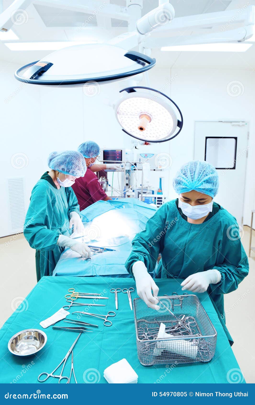 Group of Veterinarian Surgery in Operation Room Stock Image - Image of ...