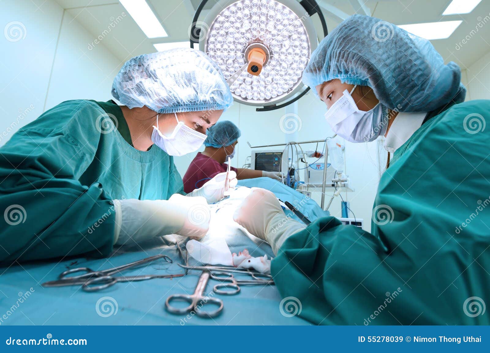 Group of Veterinarian Surgery in Operation Room Stock Image - Image of ...