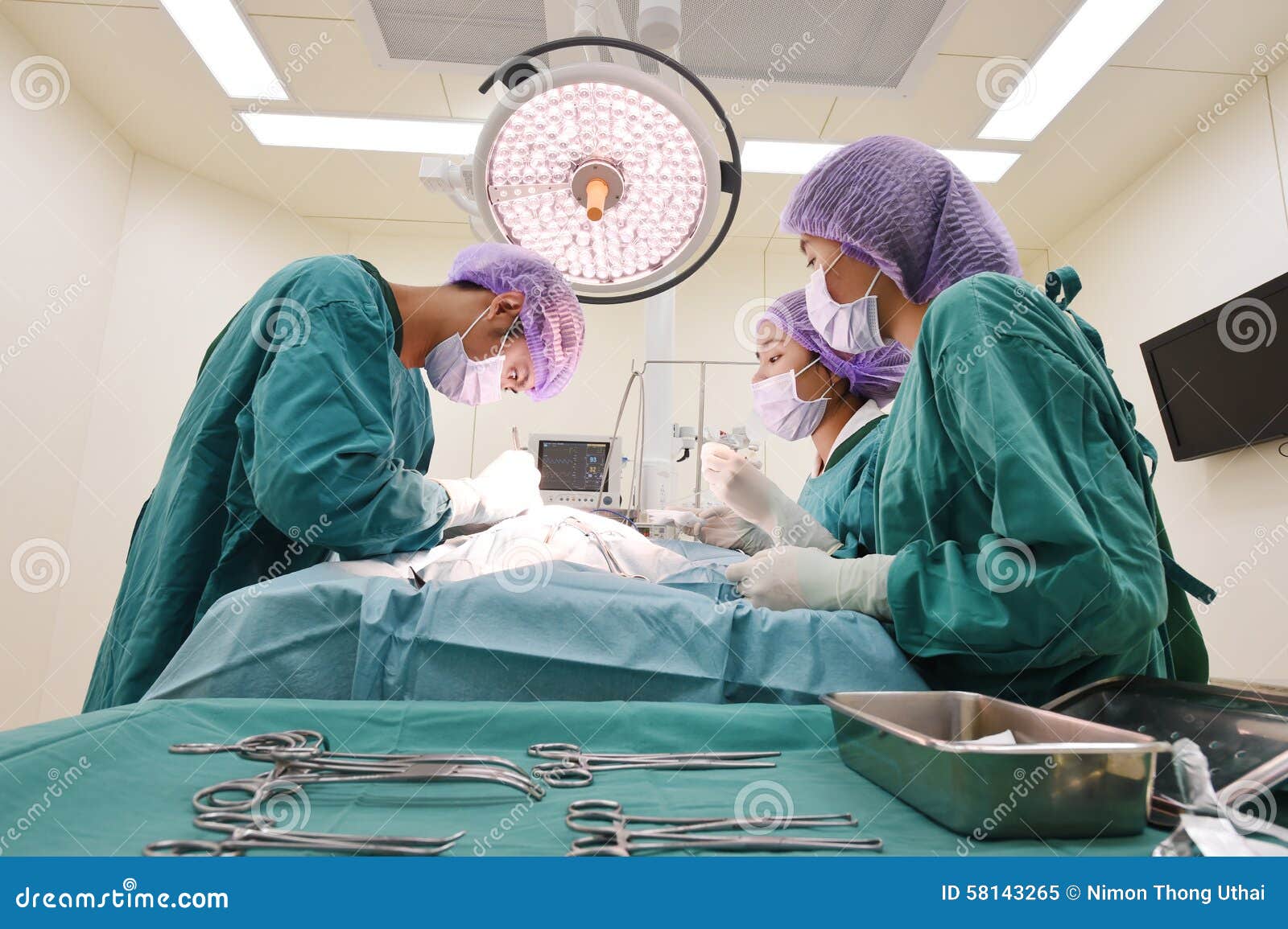 Group of Veterinarian Surgery in Operation Room Stock Image - Image of ...