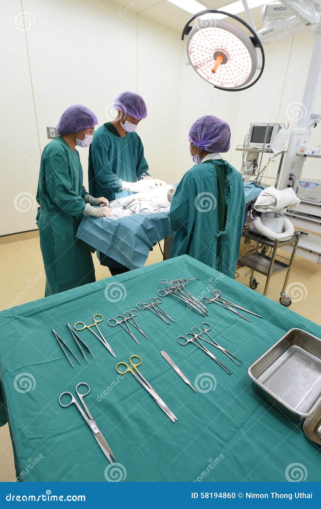 Group of Veterinarian Surgery in Operation Room Stock Photo - Image of ...