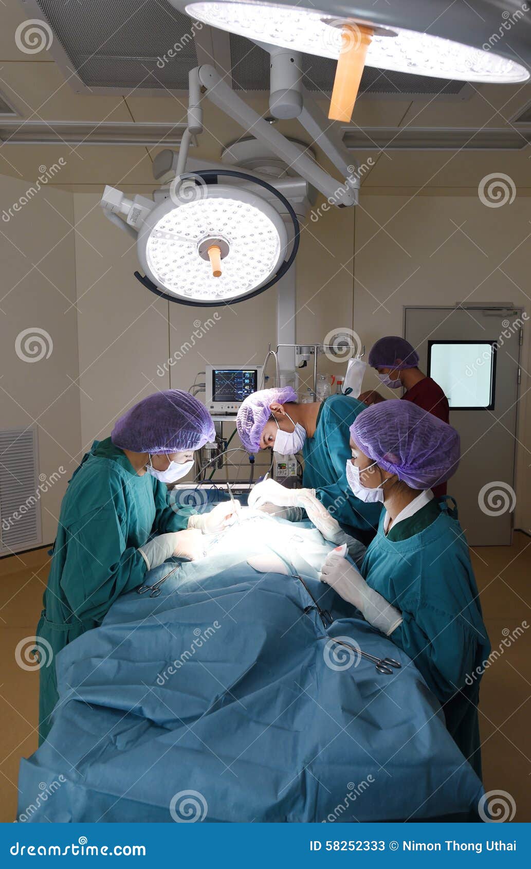 Group of Veterinarian Surgery in Operation Room Stock Image - Image of ...