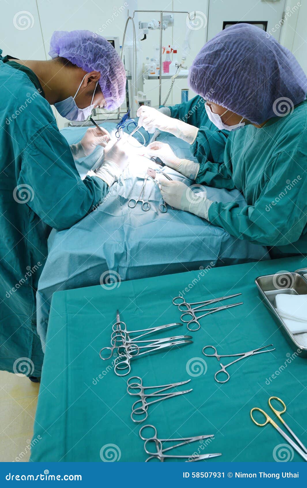 Group of Veterinarian Surgery in Operation Room Stock Image - Image of ...