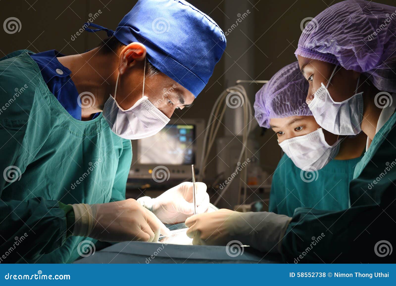 Group of Veterinarian Surgery in Operation Room Stock Photo - Image of ...