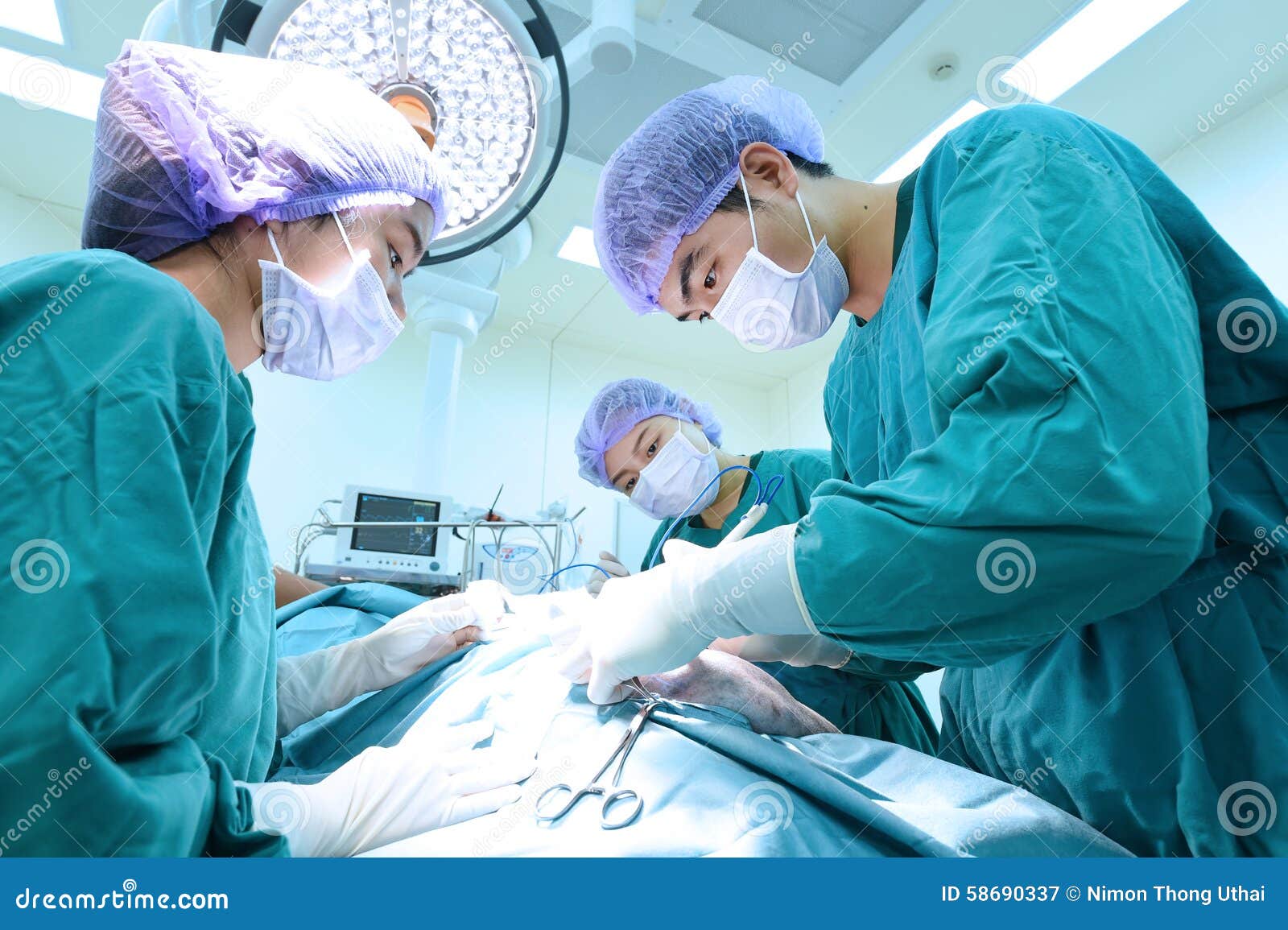 Group of Veterinarian Surgery in Operation Room Stock Image - Image of ...