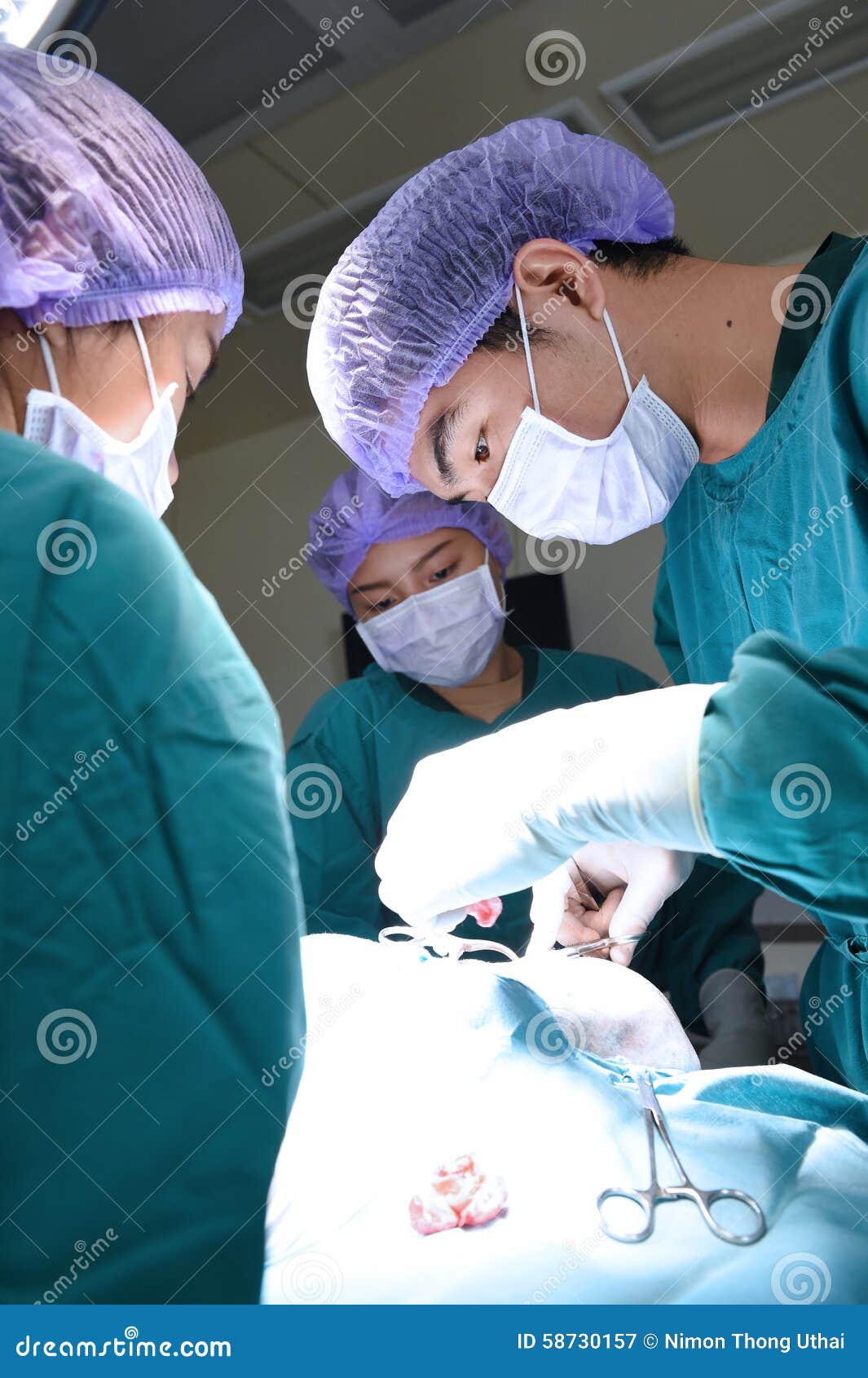 Group of Veterinarian Surgery in Operation Room Stock Image - Image of ...