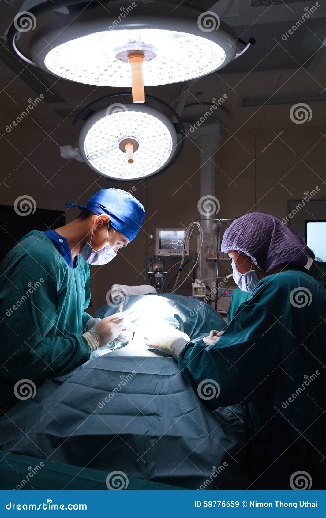 Group of Veterinarian Surgery in Operation Room Stock Image - Image of ...