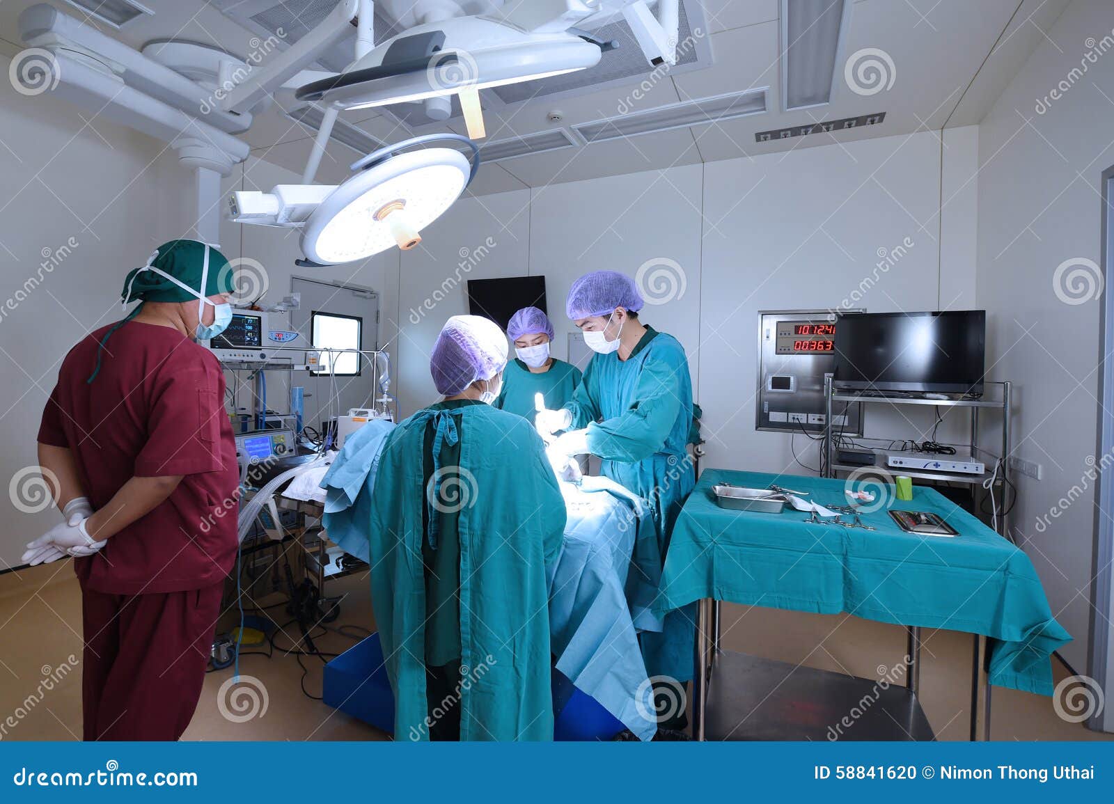 Group of Veterinarian Surgery in Operation Room Stock Photo - Image of ...