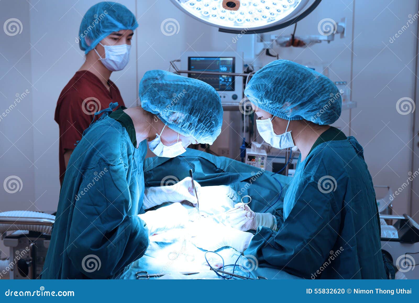 Group of Veterinarian Surgery in Operation Room Stock Photo - Image of ...