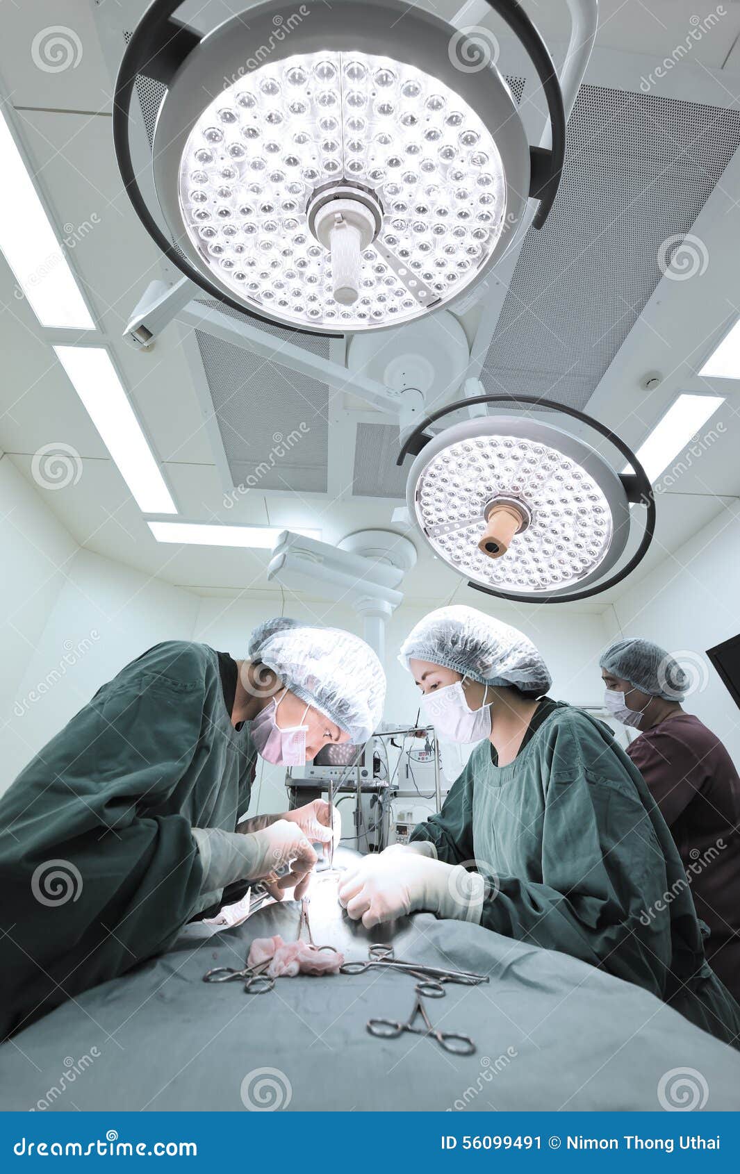 Group of Veterinarian Surgery in Operation Room Stock Image - Image of ...