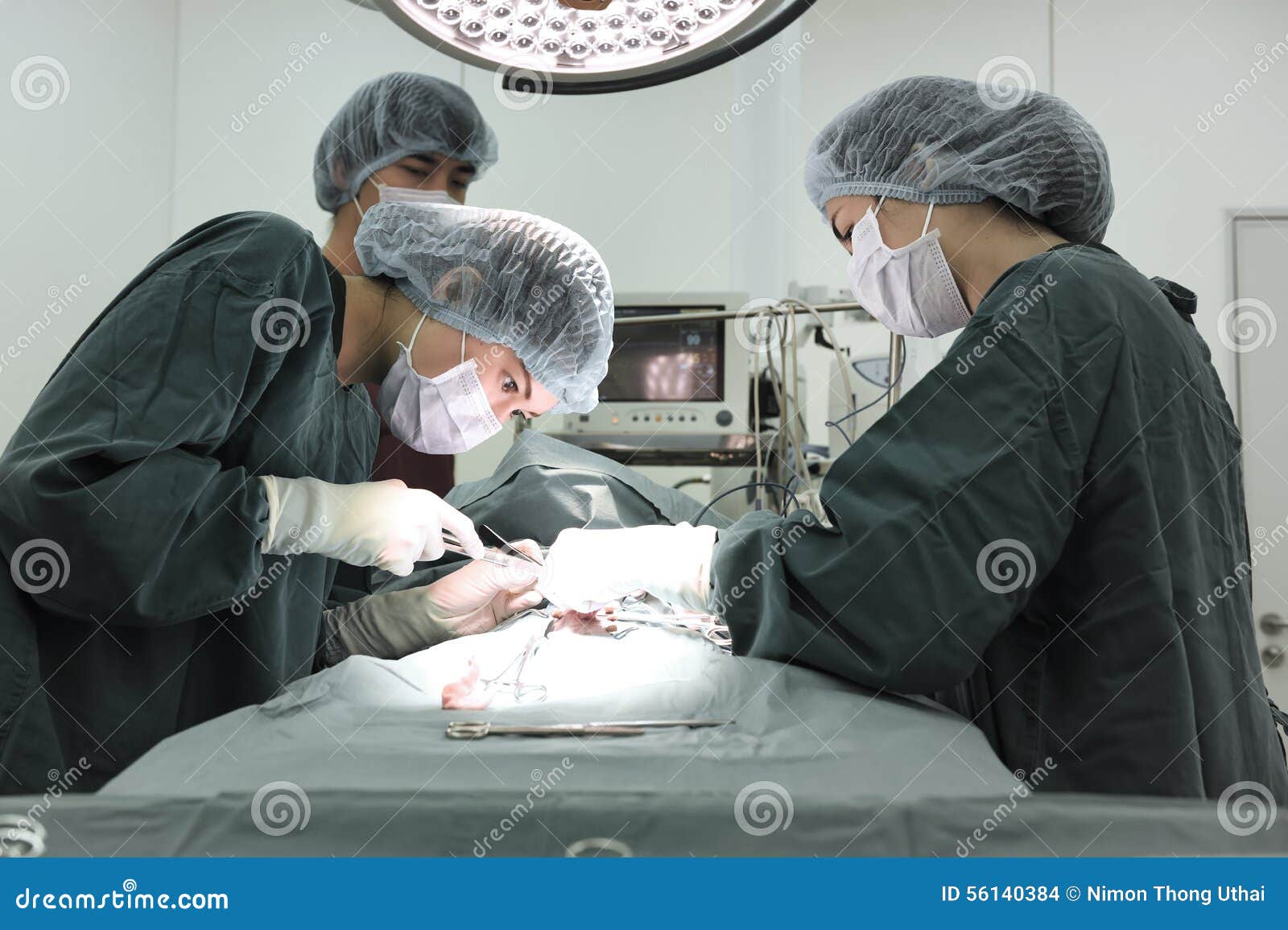 Group of Veterinarian Surgery in Operation Room Stock Photo - Image of ...