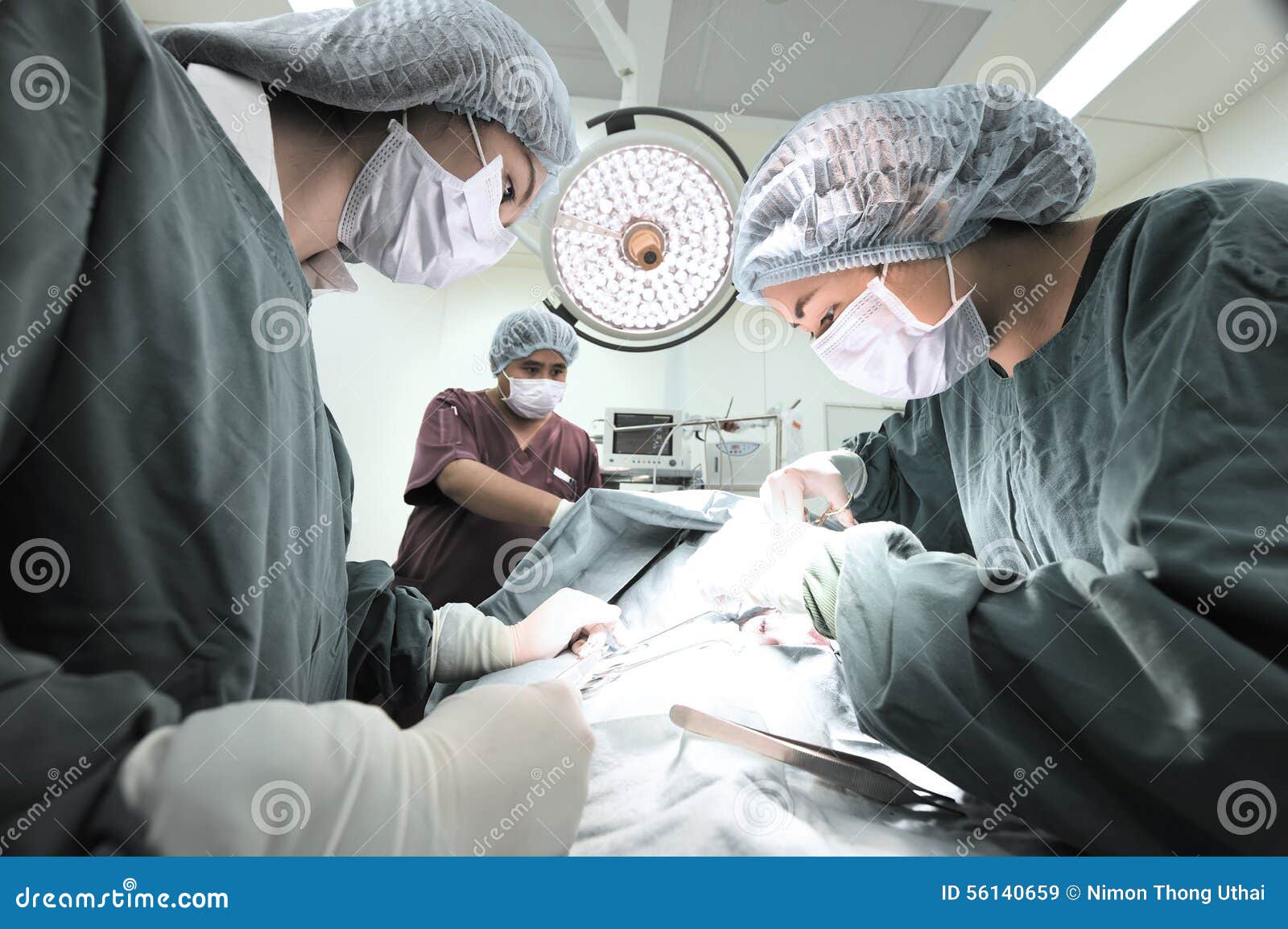 Group of Veterinarian Surgery in Operation Room Stock Image - Image of ...