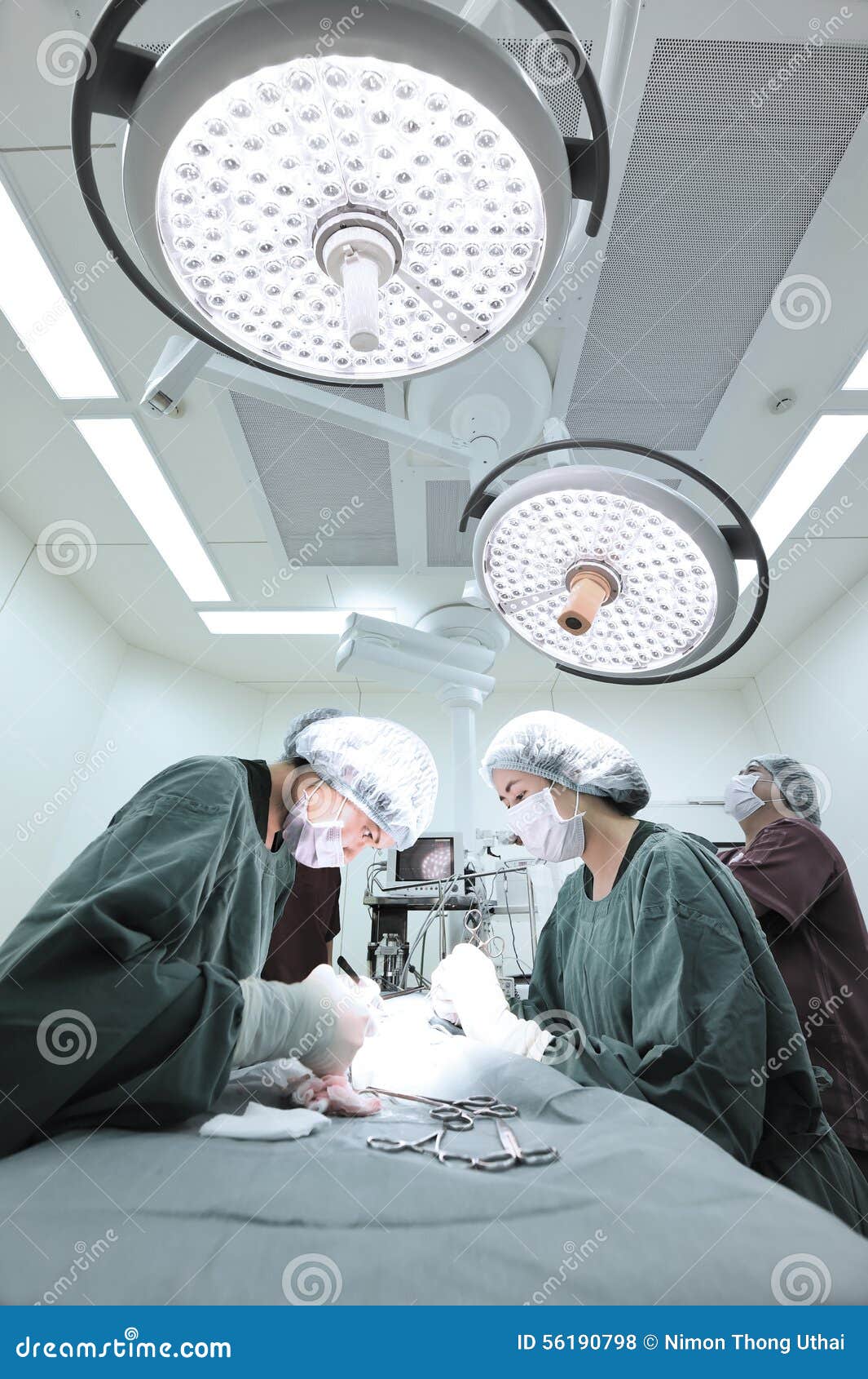 Group of Veterinarian Surgery in Operation Room Stock Photo - Image of ...