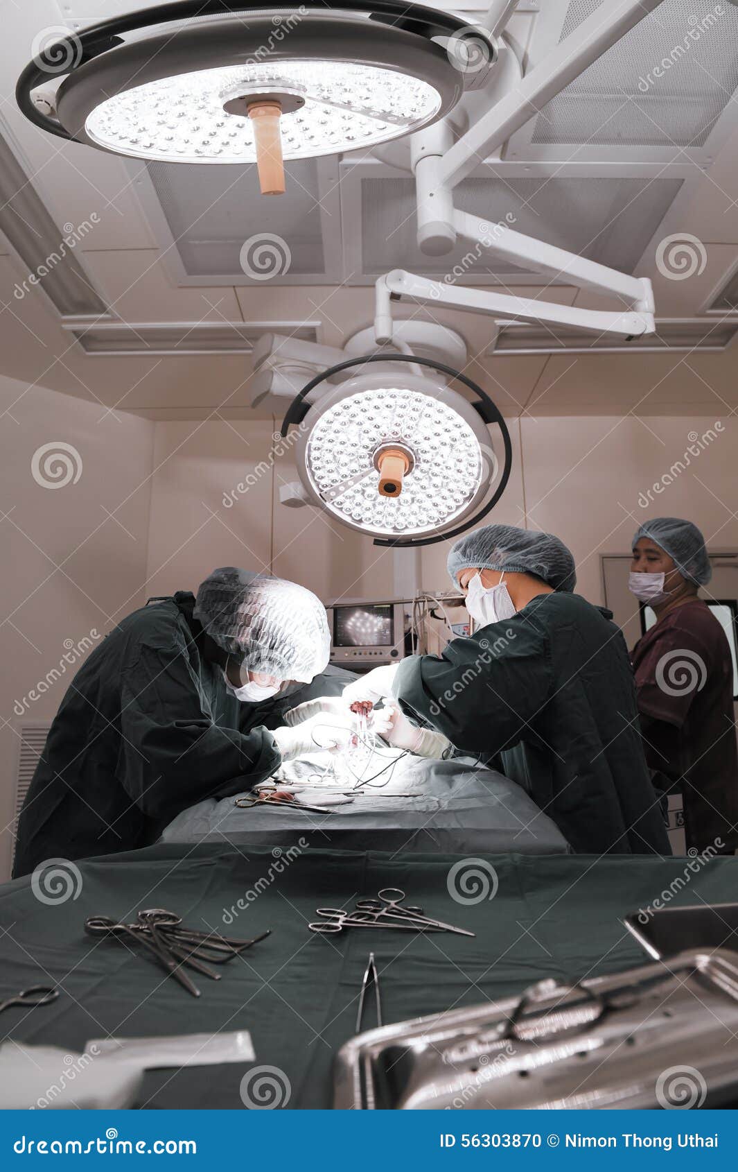 Group of Veterinarian Surgery in Operation Room Stock Photo - Image of ...