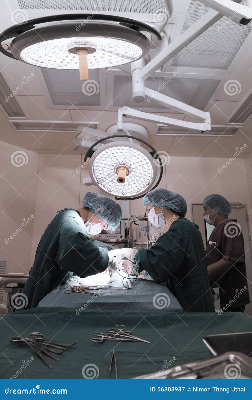 Group of Veterinarian Surgery in Operation Room Stock Image - Image of ...