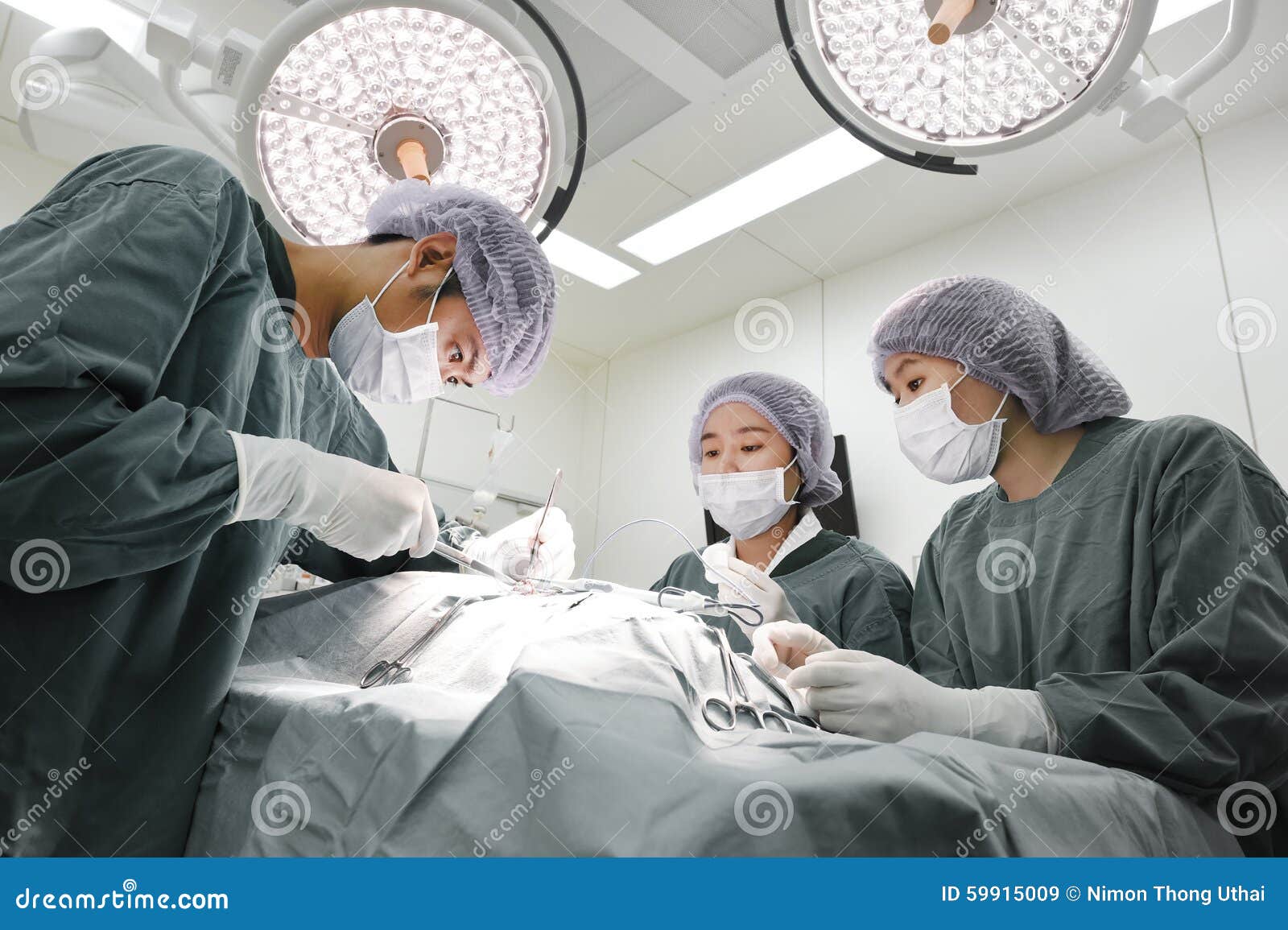 Group of Veterinarian Surgery in Operation Room Stock Image - Image of ...
