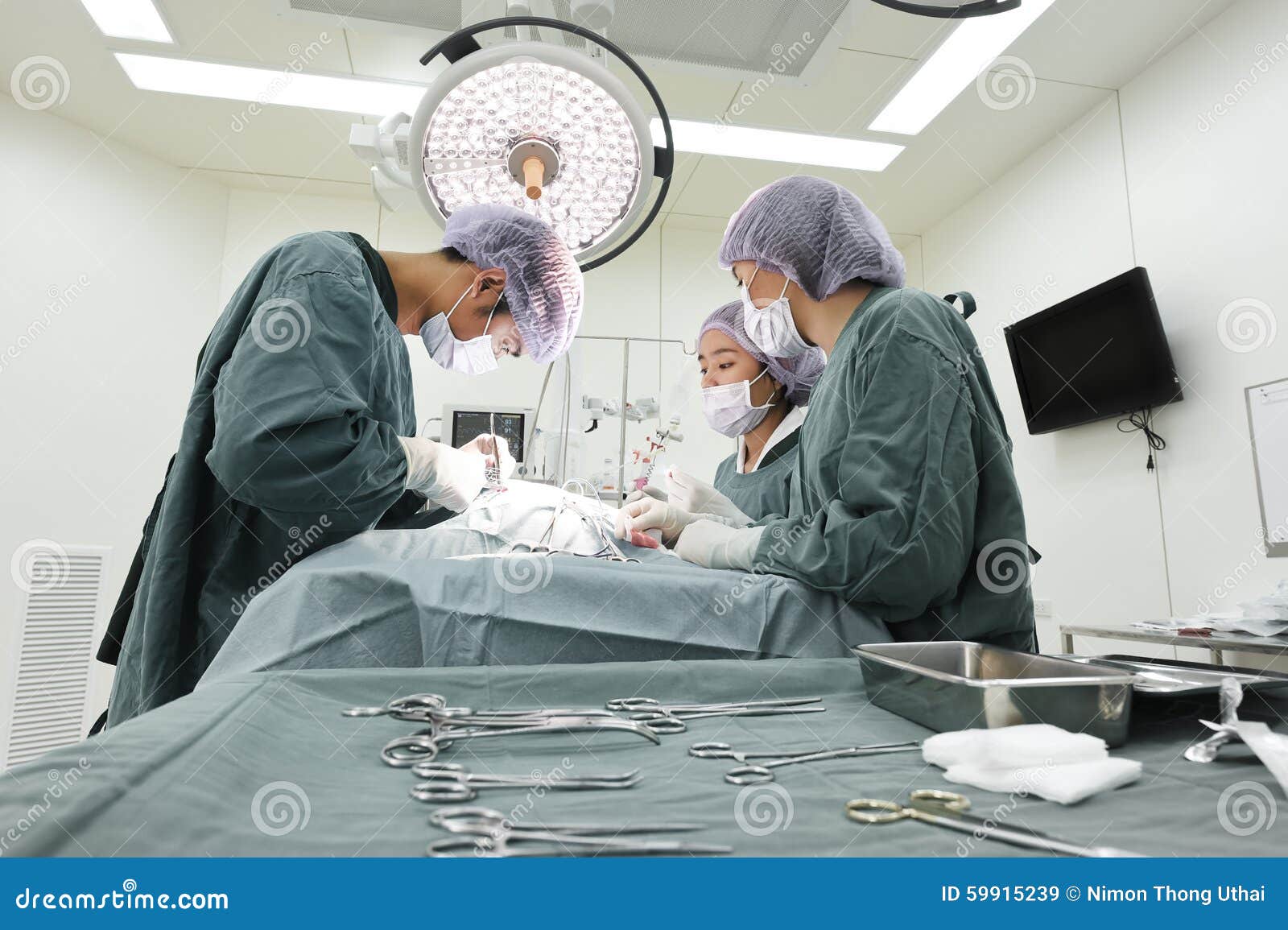 Group of Veterinarian Surgery in Operation Room Stock Image - Image of ...