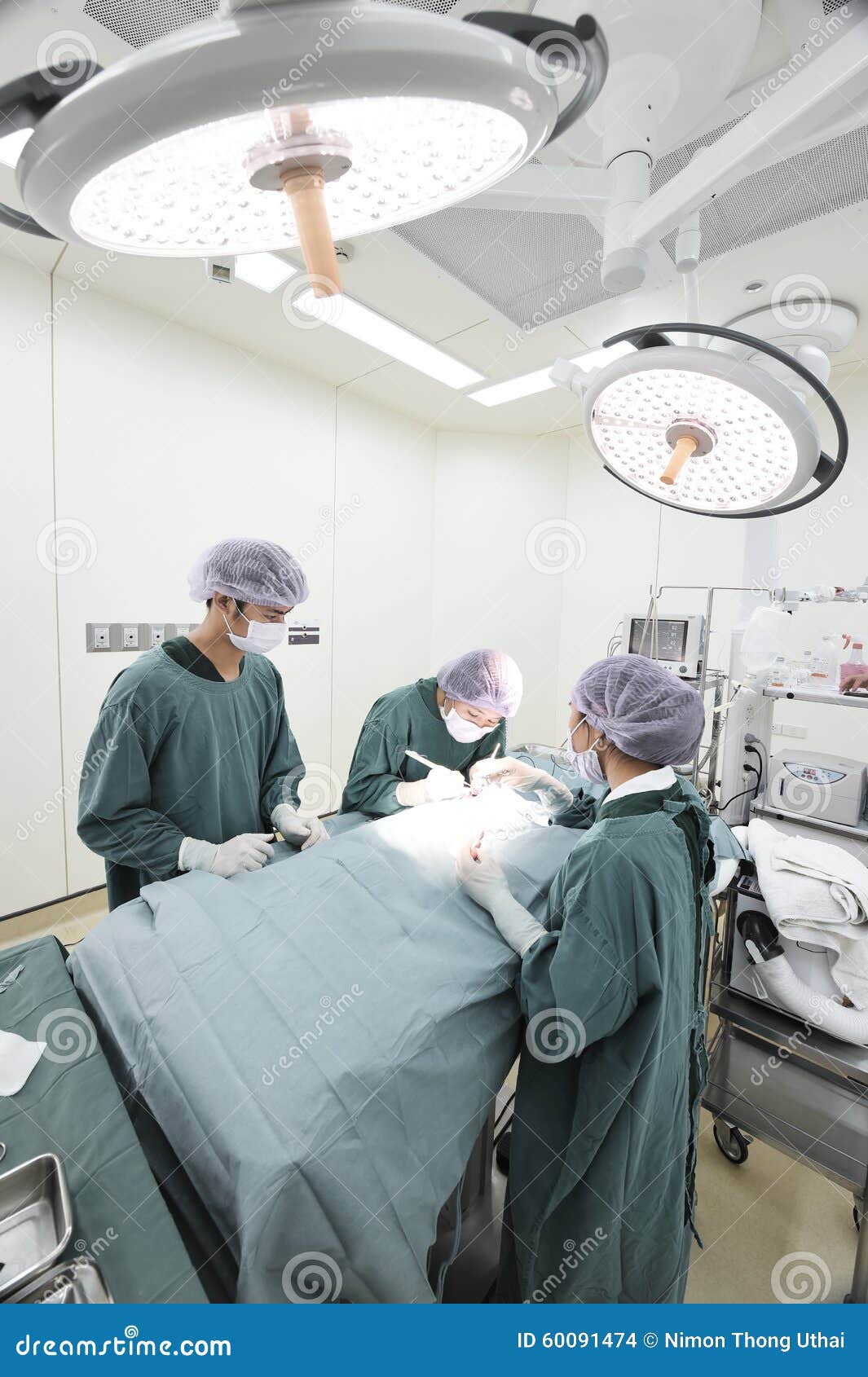 Group of Veterinarian Surgery in Operation Room Stock Photo - Image of ...