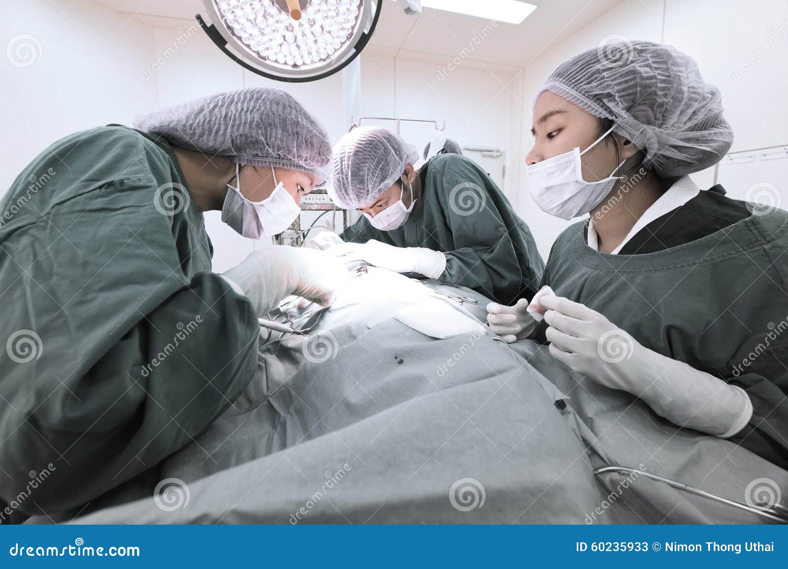 Group of Veterinarian Surgery in Operation Room Stock Image - Image of ...