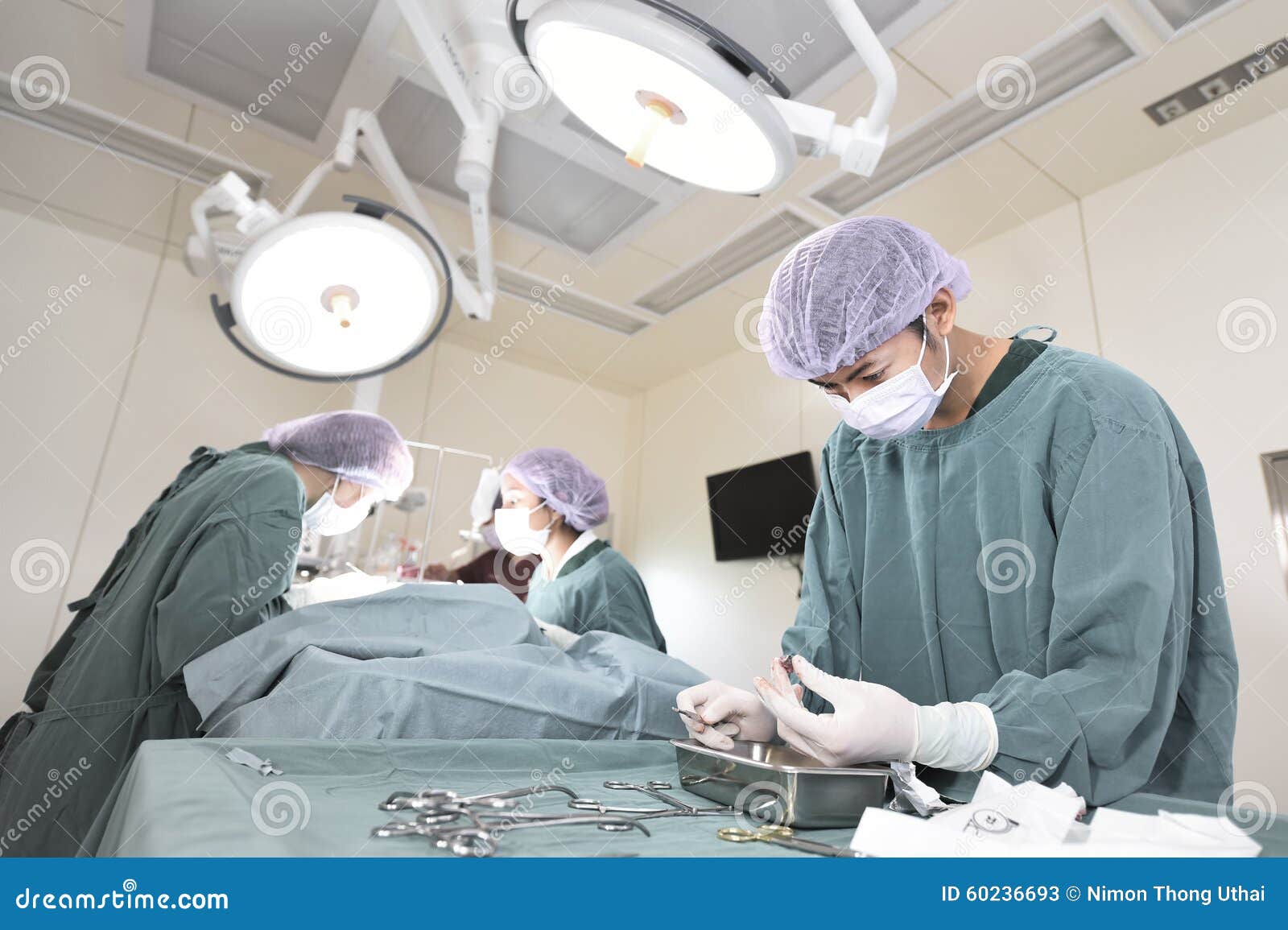 Group of Veterinarian Surgery in Operation Room Stock Image - Image of ...