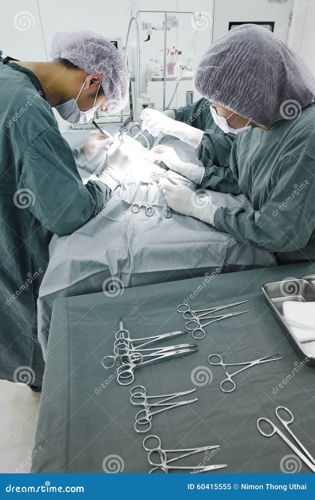 Group of Veterinarian Surgery in Operation Room Stock Image - Image of ...