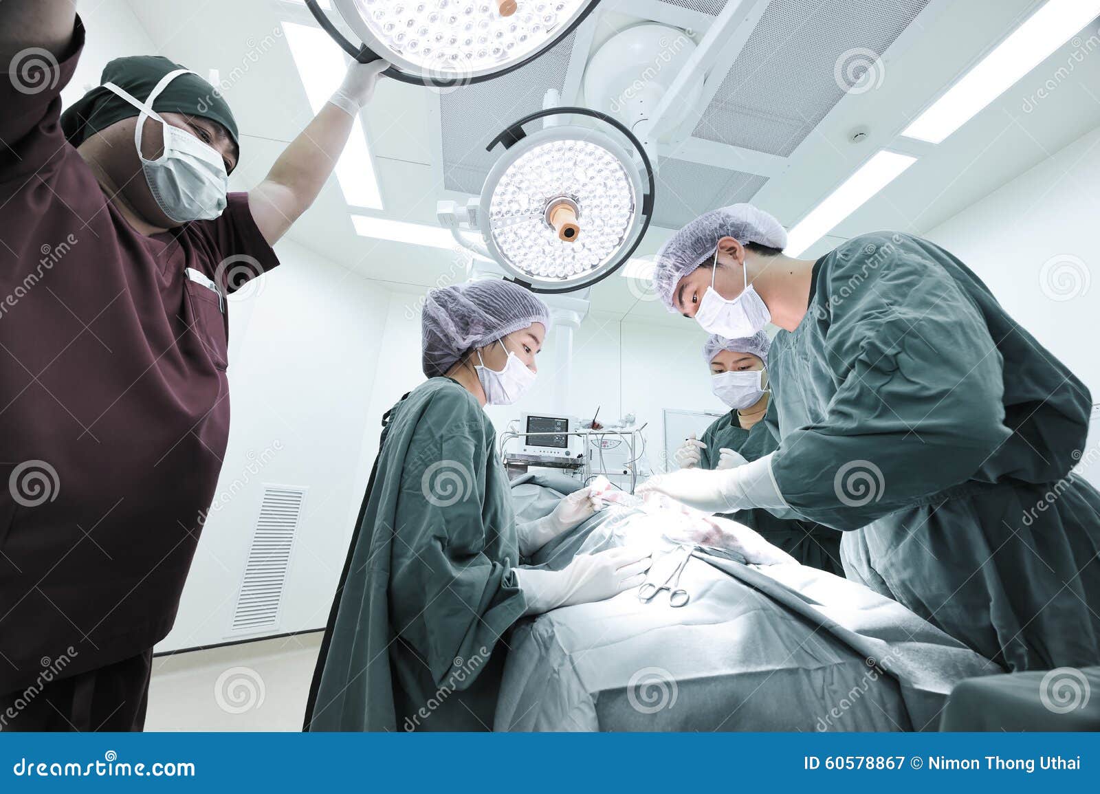 Group of Veterinarian Surgery in Operation Room Stock Image - Image of ...